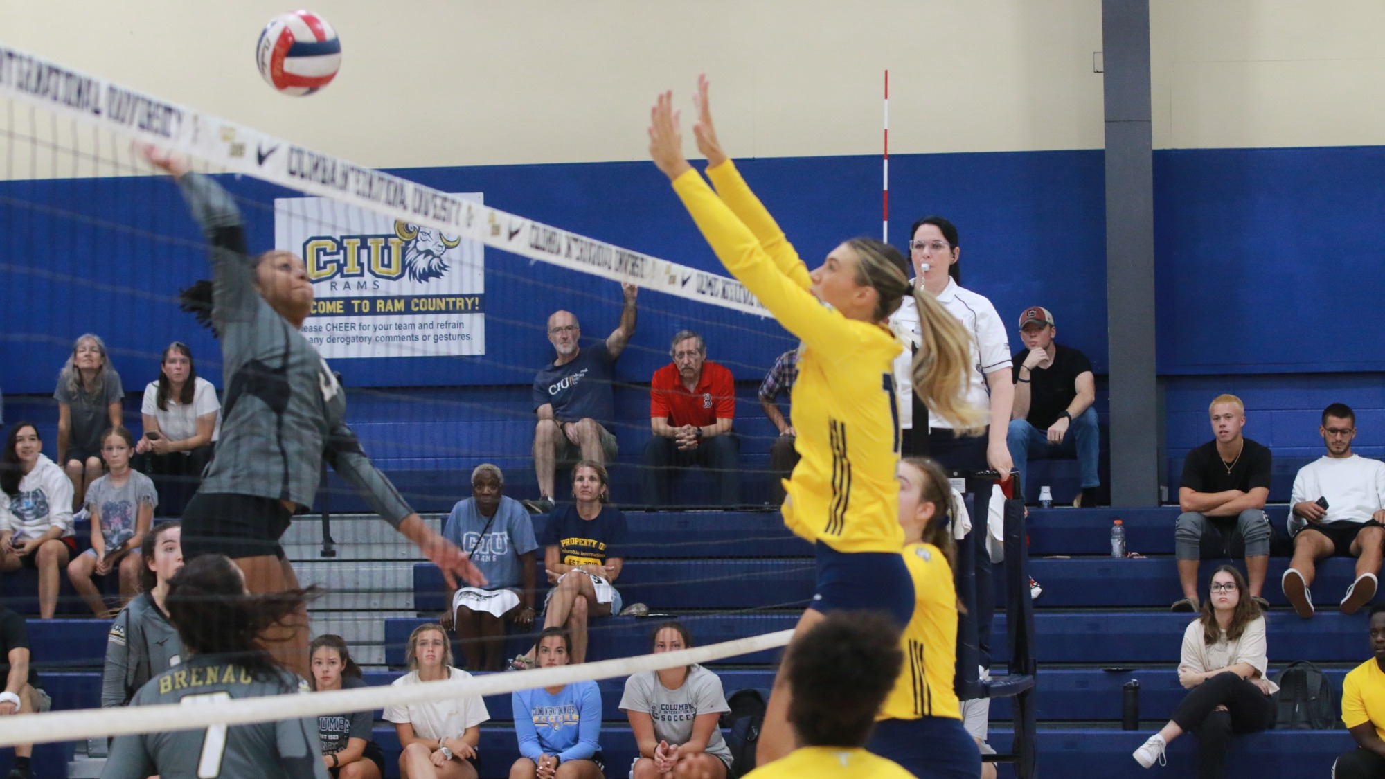 Rams make it five in a row with sweep of Brenau - Columbia ...