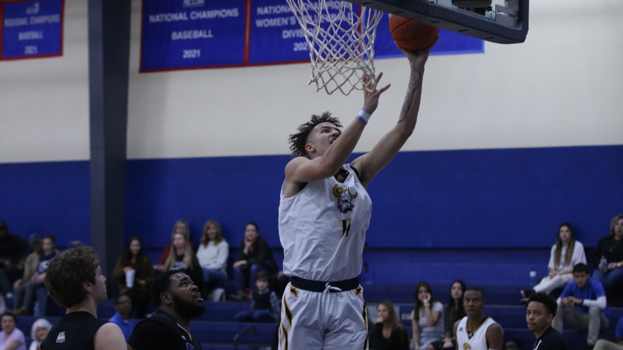 Heathcock and Oates combine for 55 in battle with Bears - Columbia ...