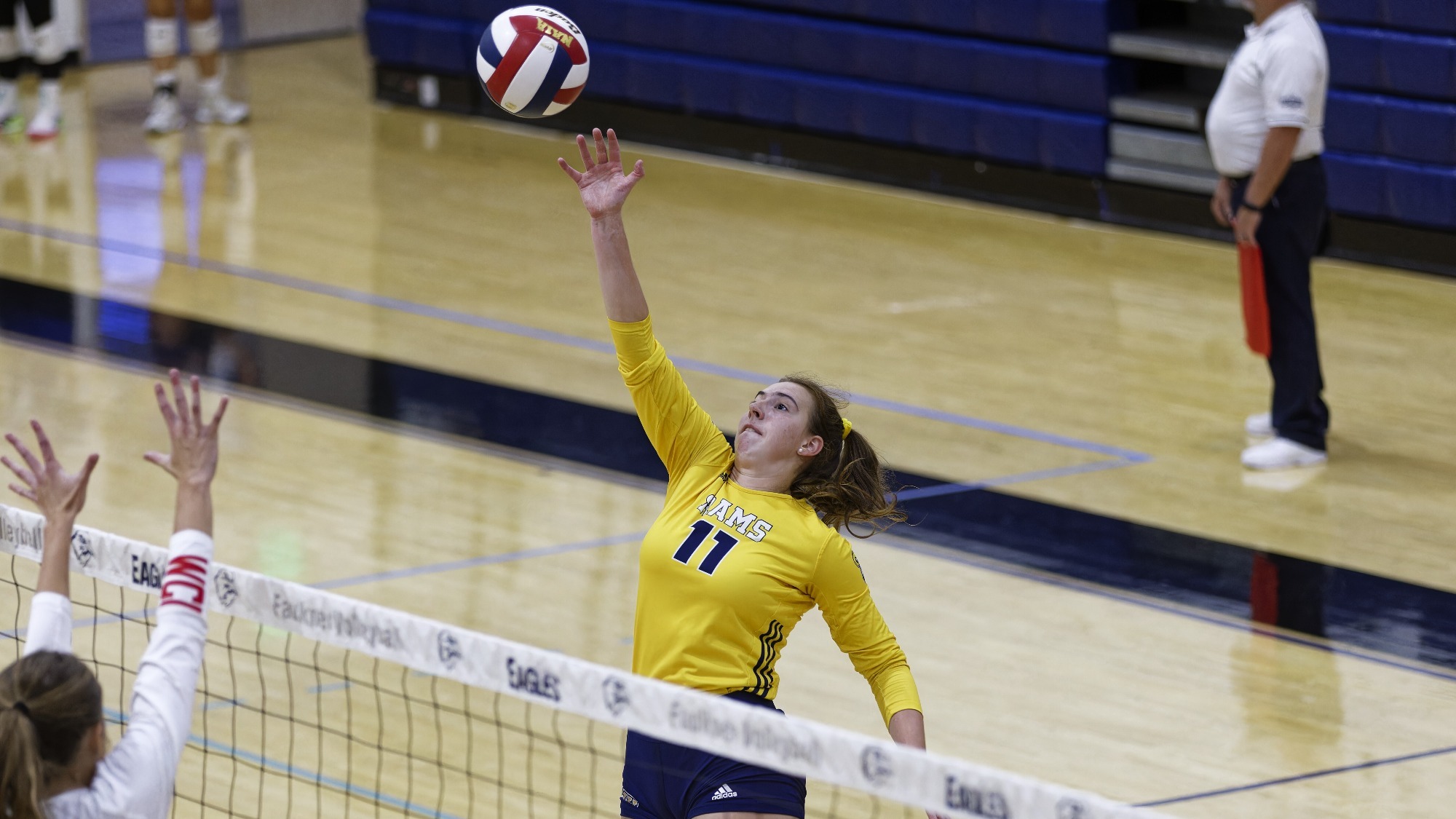 Volleyball releases 2024 schedule containing intriguing early season ...