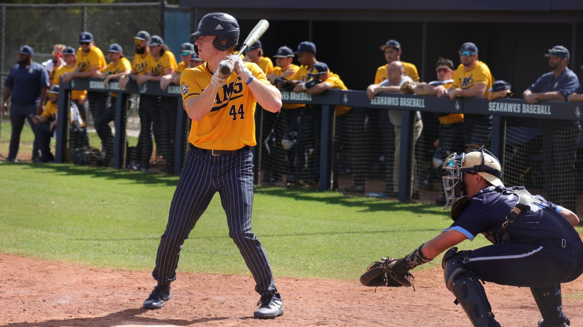 Carter Willis - Baseball - Columbia International University Athletics