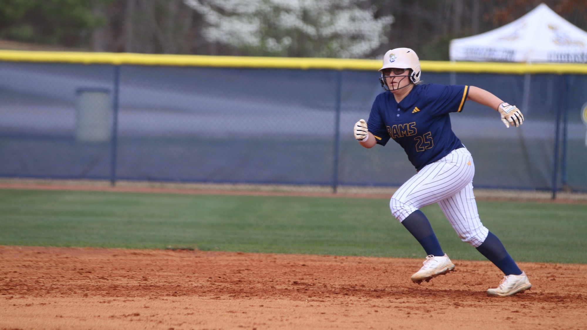 Rams rally for game two win over Bulldogs - Columbia International ...