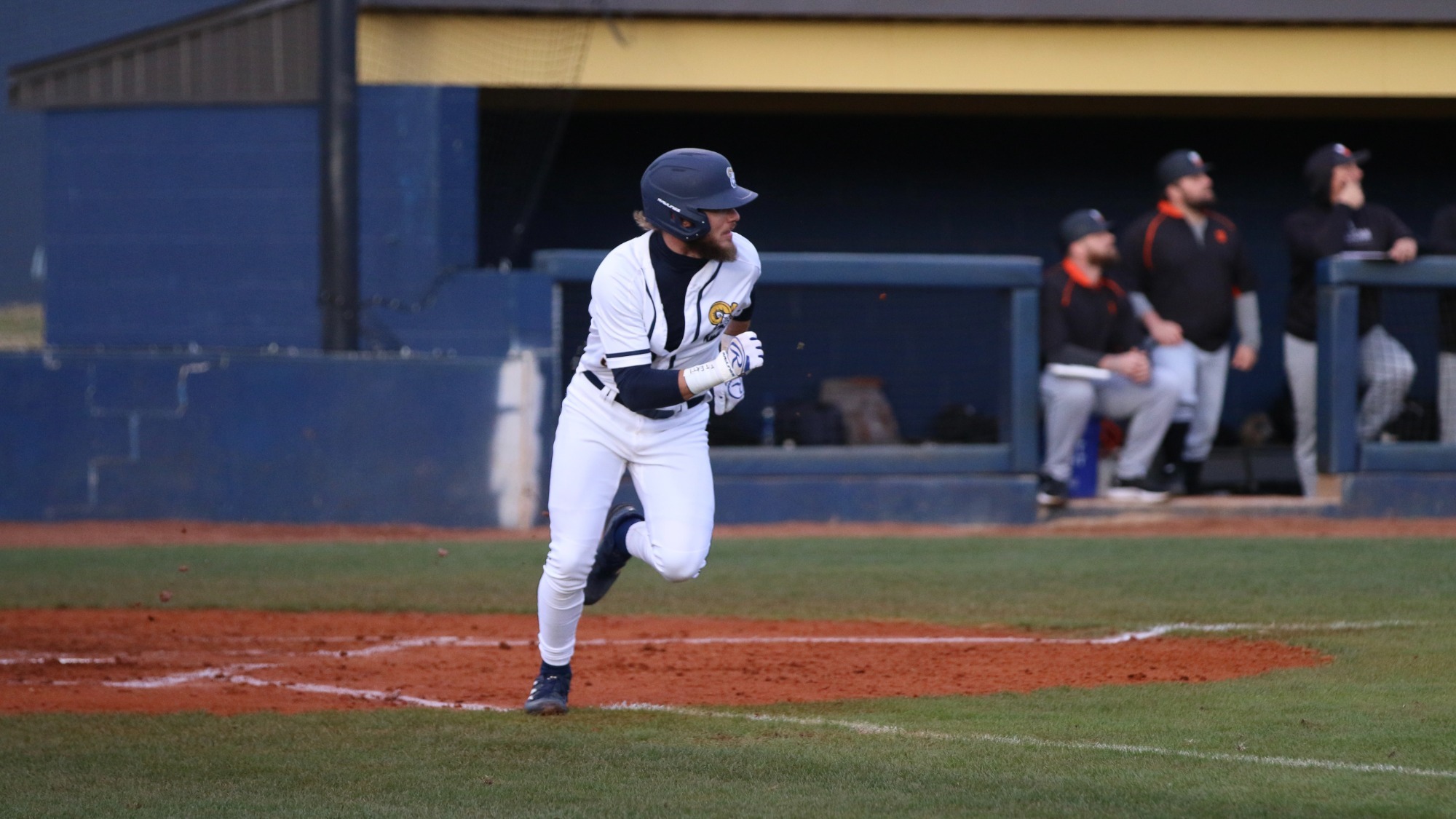 Price Alexander - Baseball - Columbia International University Athletics