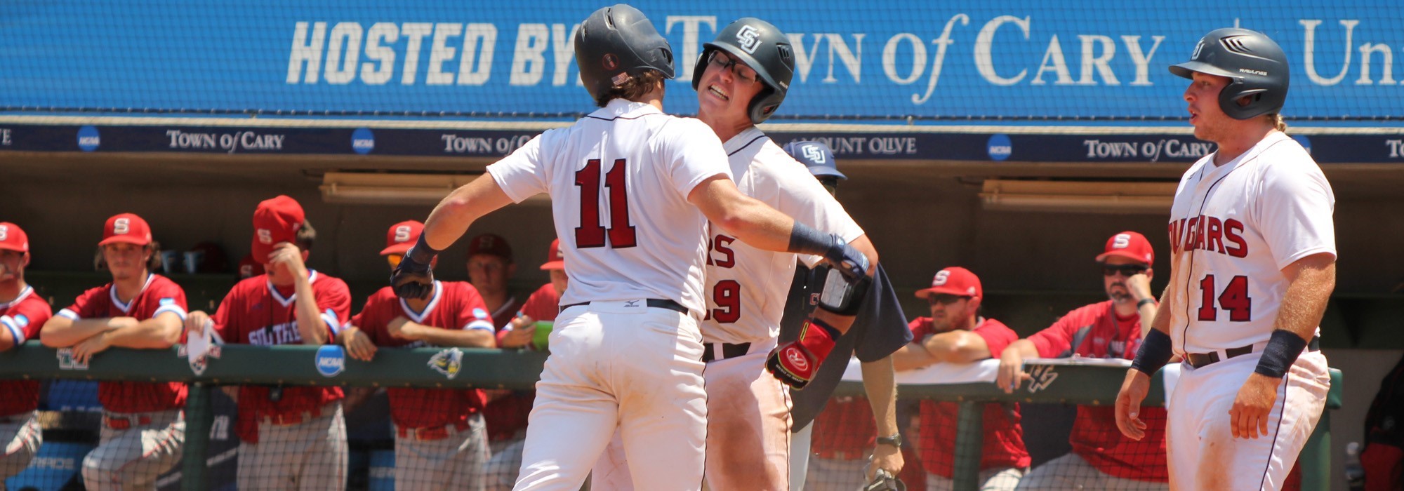 Drew Webb - 2020 - Baseball - Columbus State University Athletics