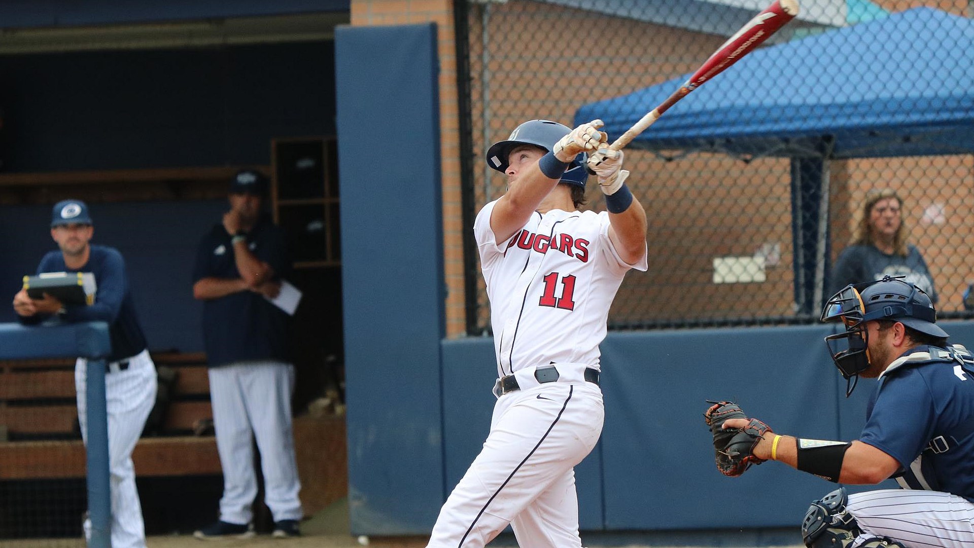 Drew Webb - 2020 - Baseball - Columbus State University Athletics