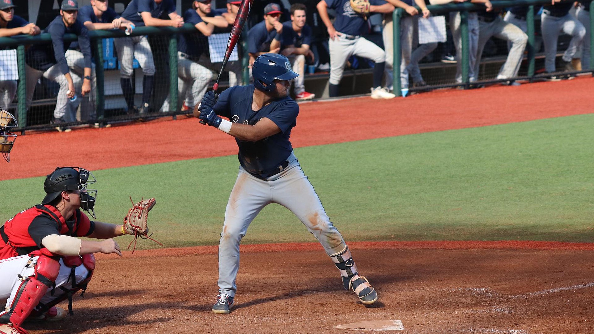Drew Webb - 2020 - Baseball - Columbus State University Athletics