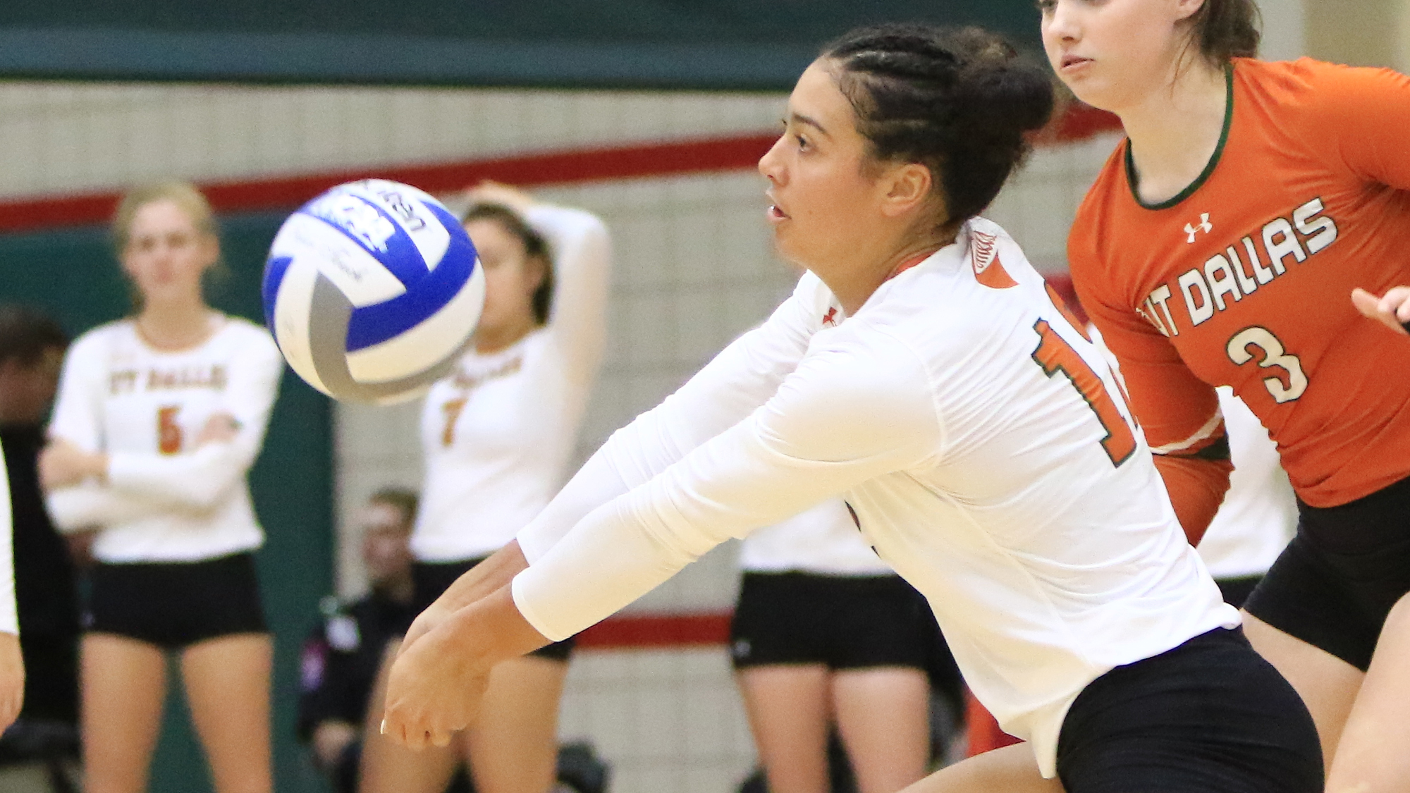 Alex Nolan - Volleyball - University of Texas at Dallas Athletics