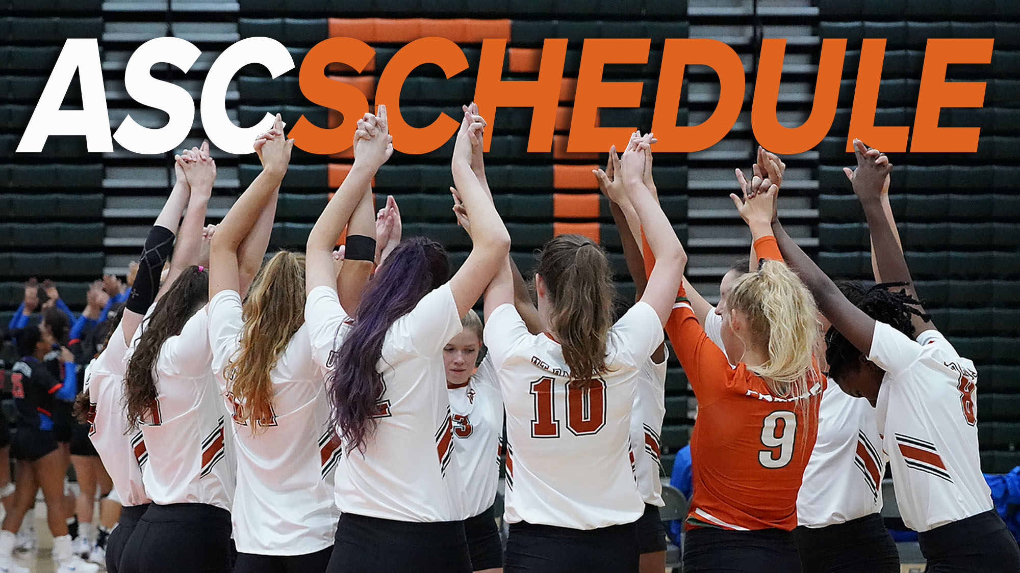ASC Announces 2020-21 Volleyball Schedule - University of Texas at ...
