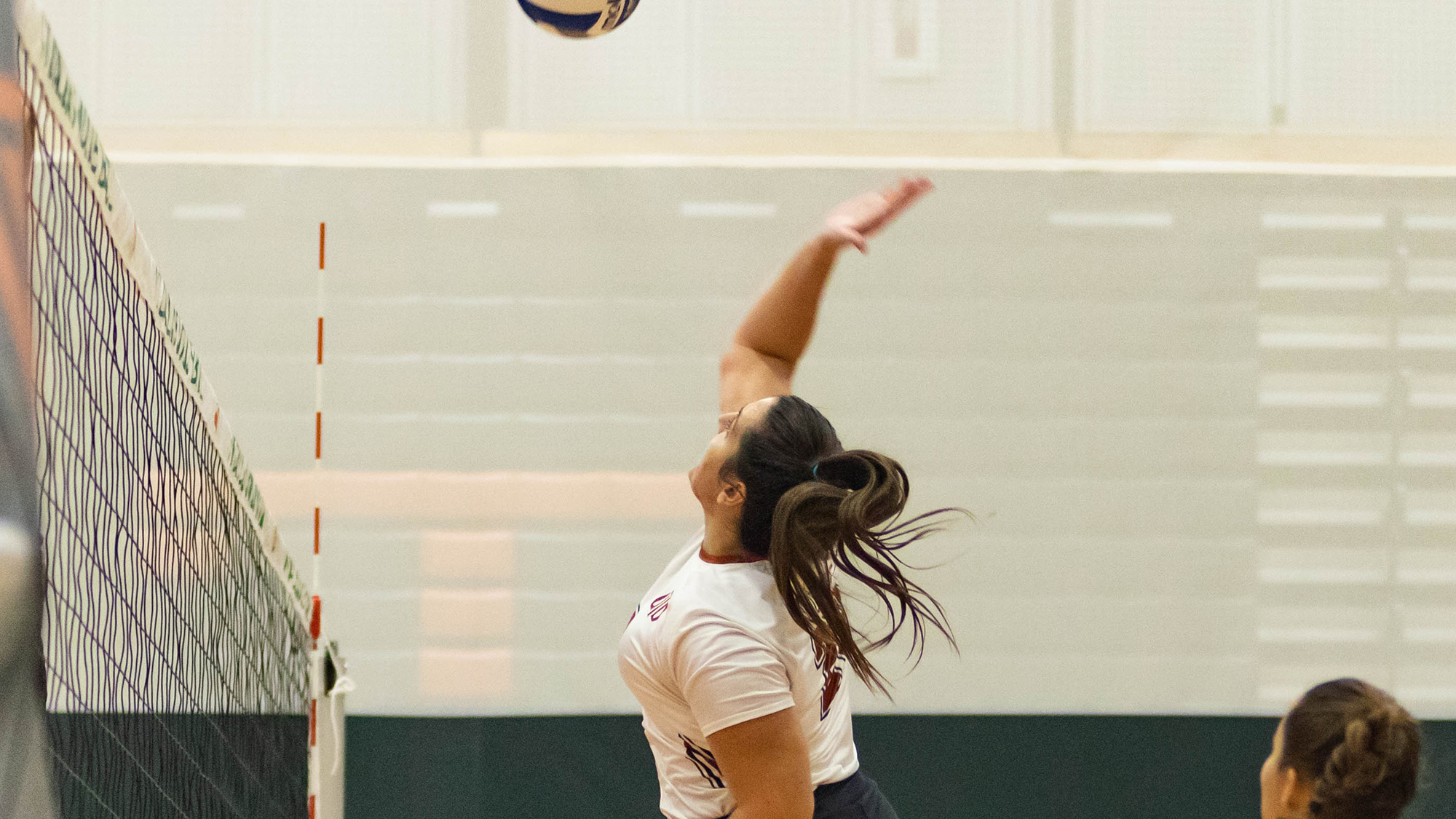 Alli Paveglio - Volleyball - University of Texas at Dallas Athletics