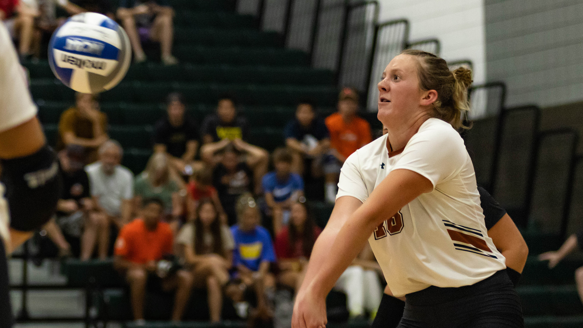 Madison Ball - Volleyball - University of Texas at Dallas Athletics