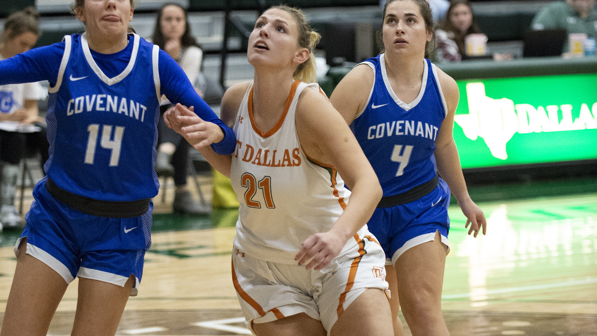 Diane Hurst - Women's Basketball - University of Texas at Dallas Athletics