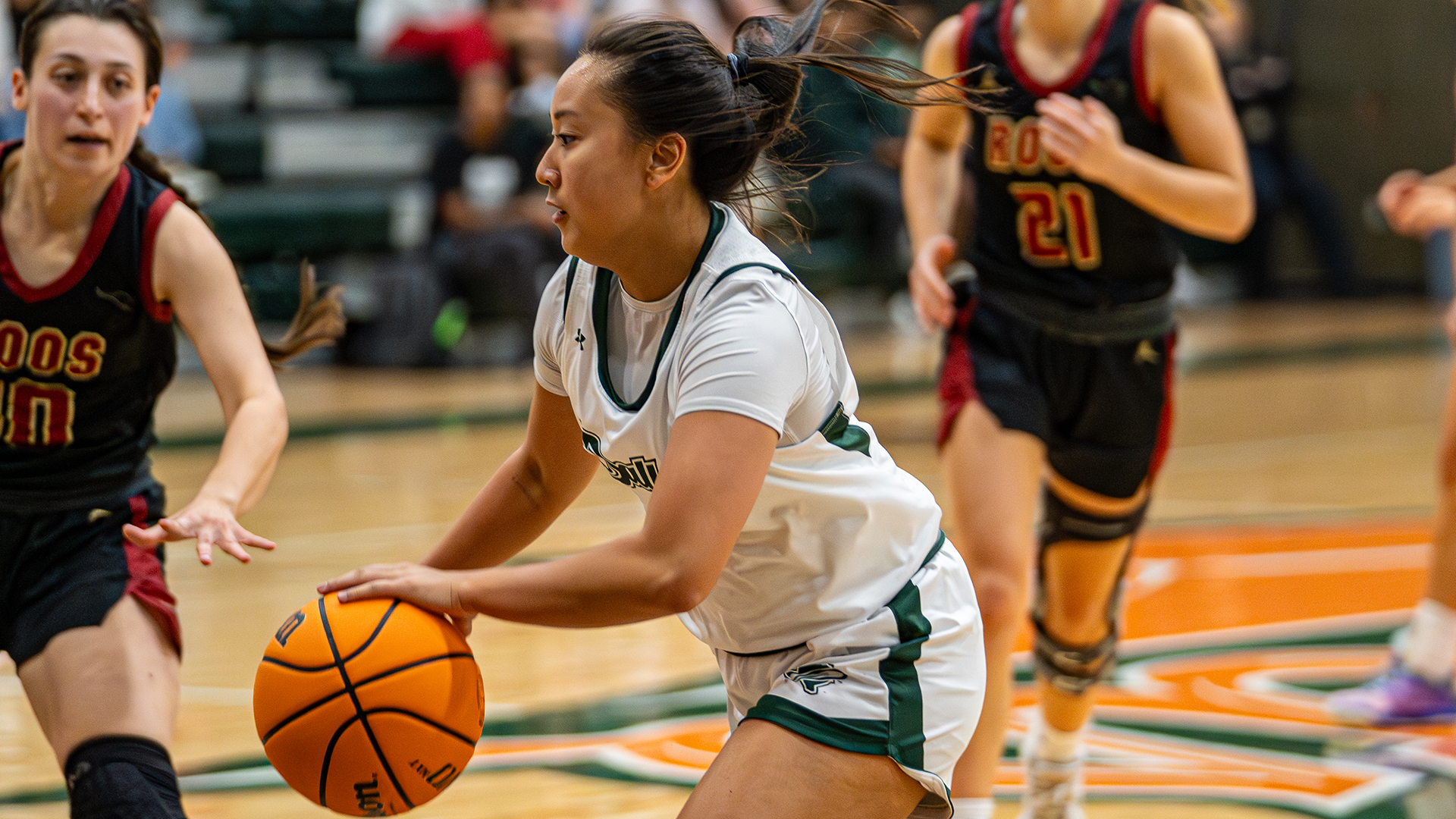 Molly Ly - Women's Basketball - University of Texas at Dallas Athletics