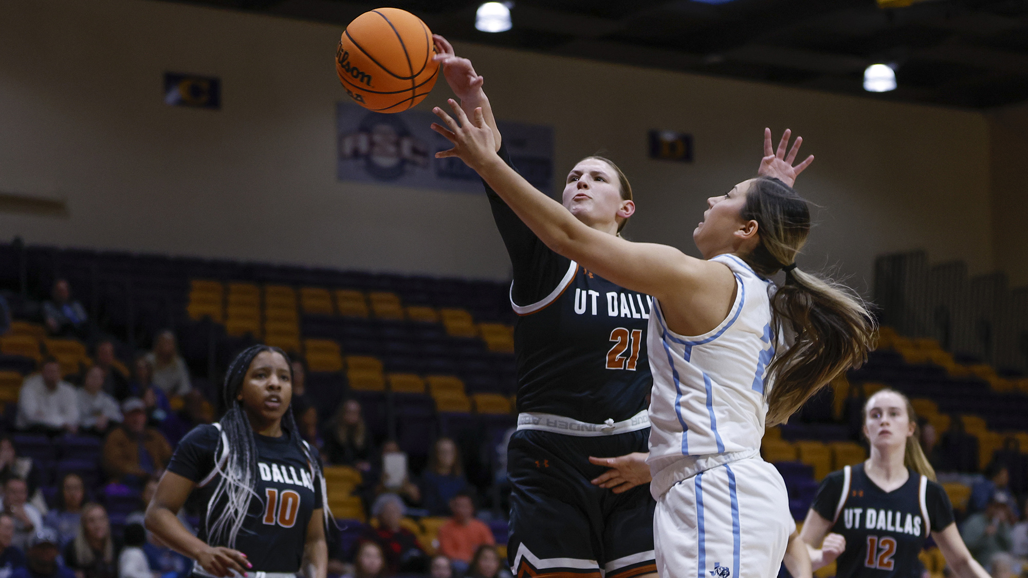 Diane Hurst - Women's Basketball - University of Texas at Dallas Athletics