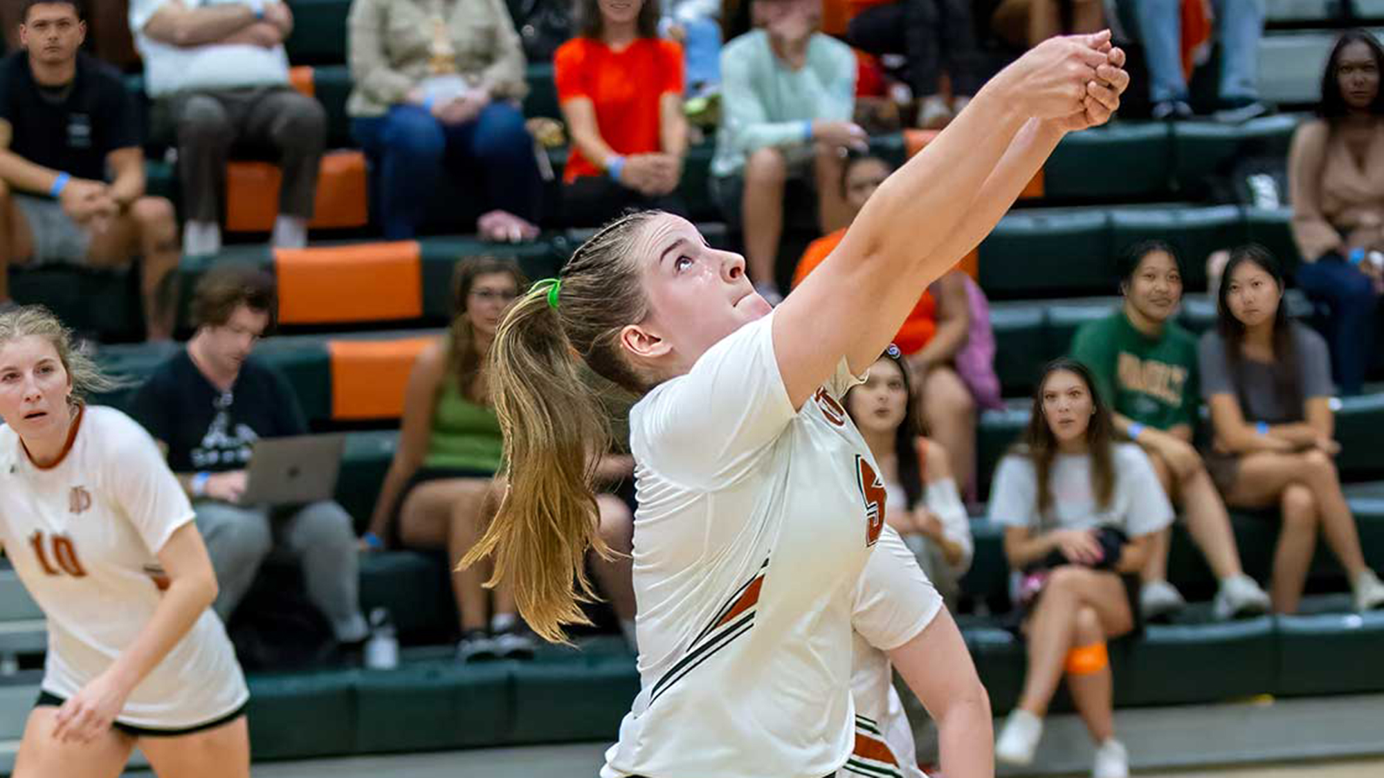 Emma Sevening - Volleyball - University of Texas at Dallas Athletics
