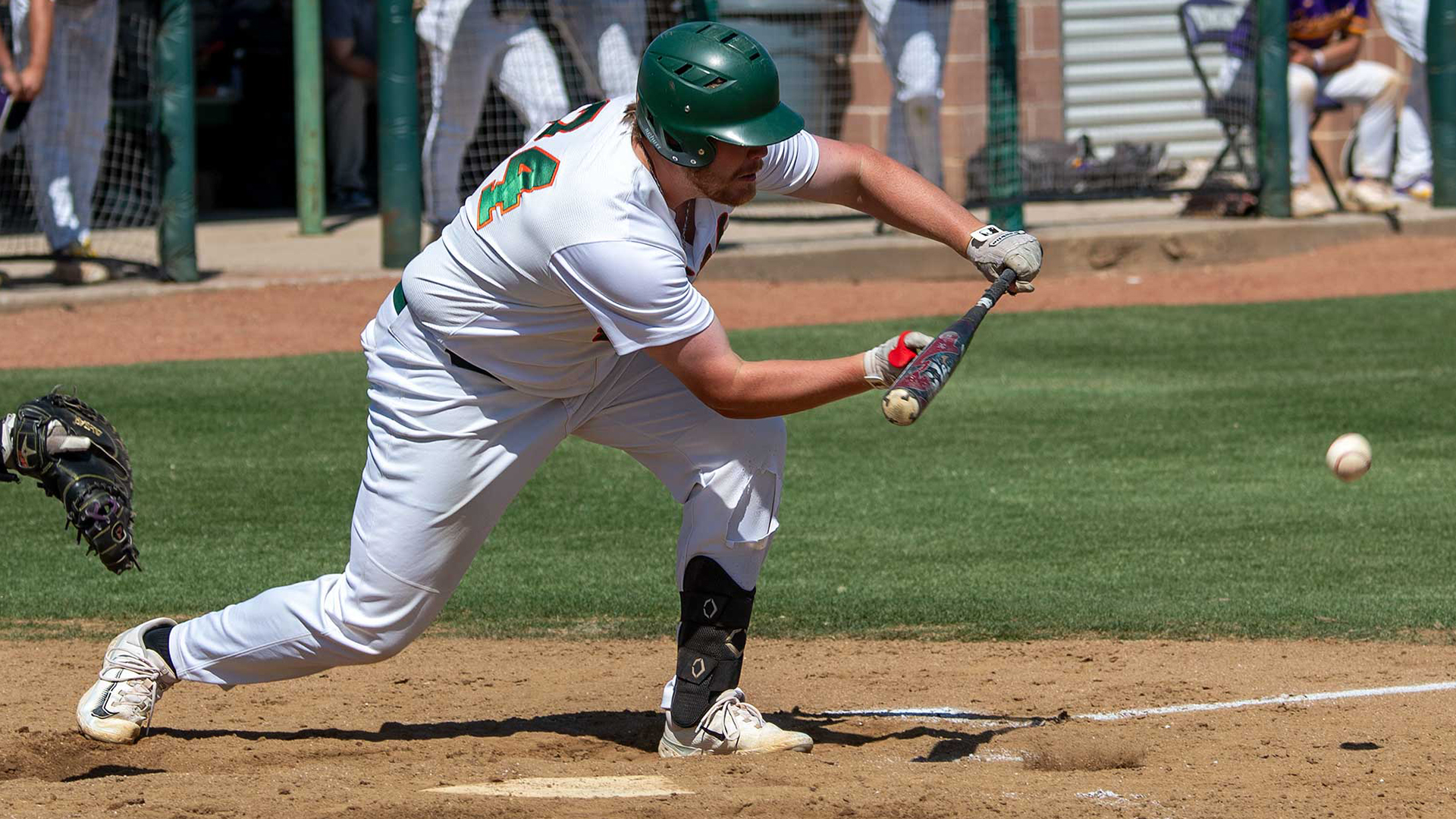 Grayson Coltharp - Baseball - University of Texas at Dallas Athletics
