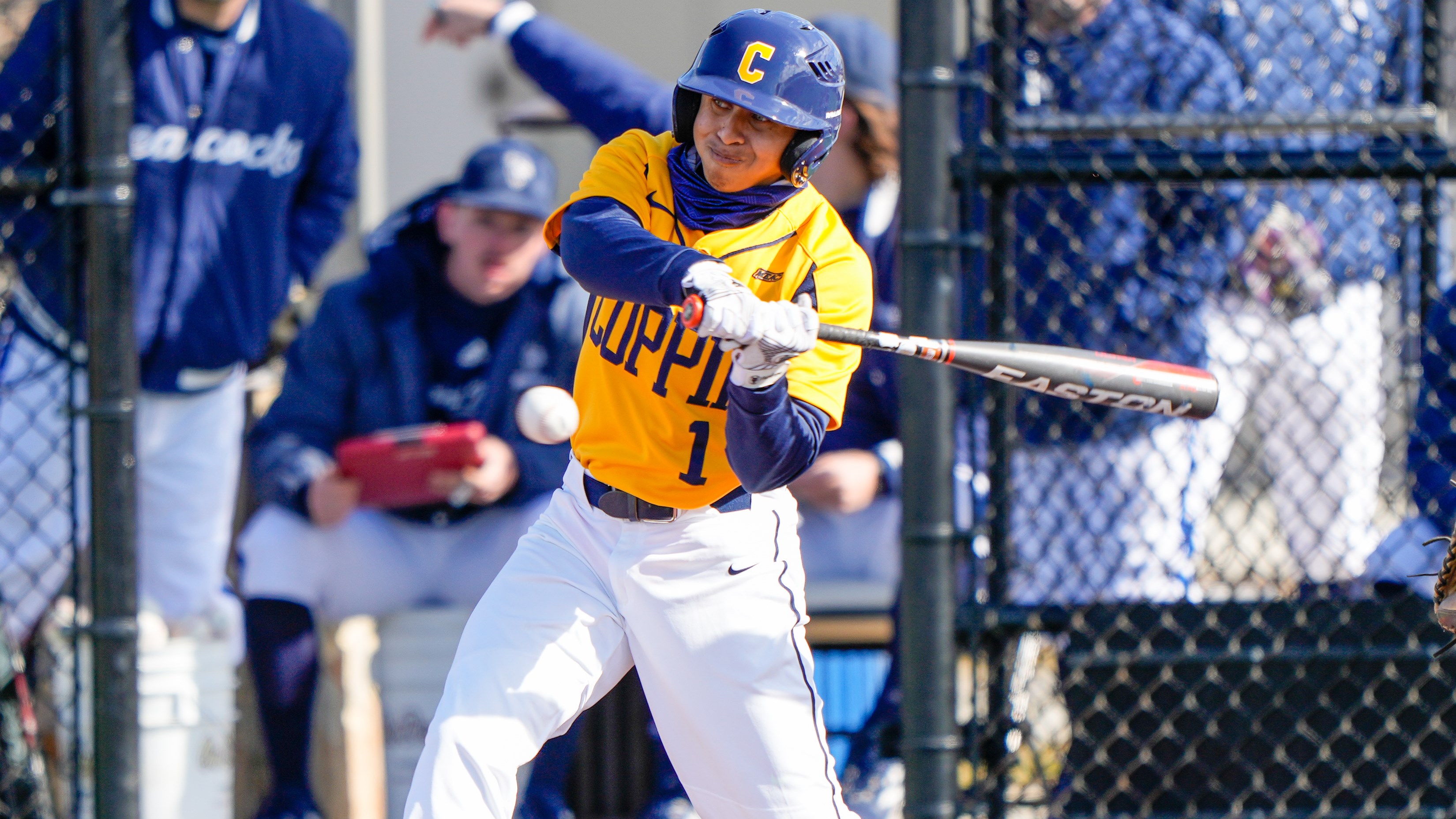 Wellington Balsley - Baseball - Coppin State University Athletics