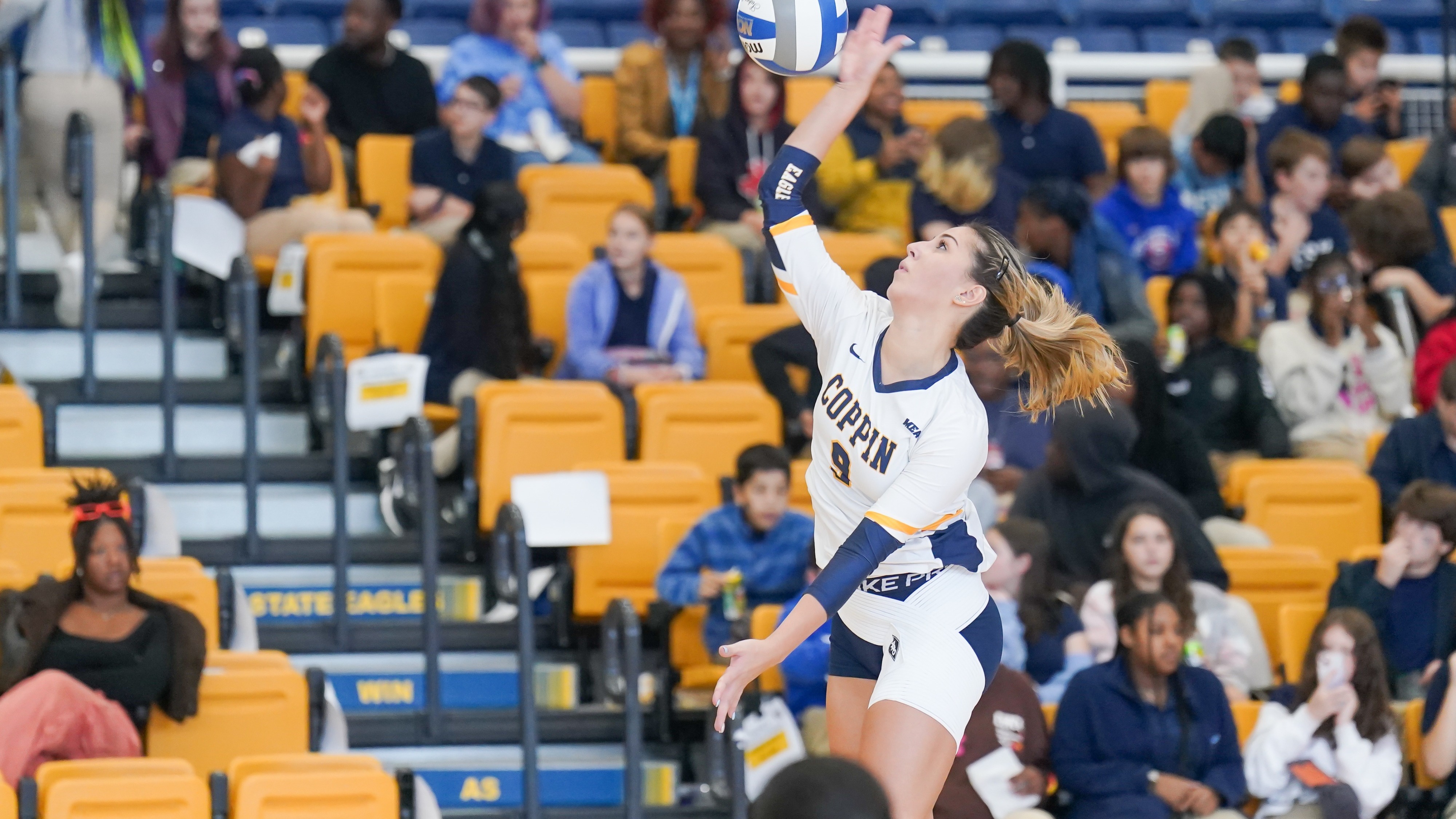 Volleyball Records 16 Aces in Sweep of South Carolina State in MEAC ...