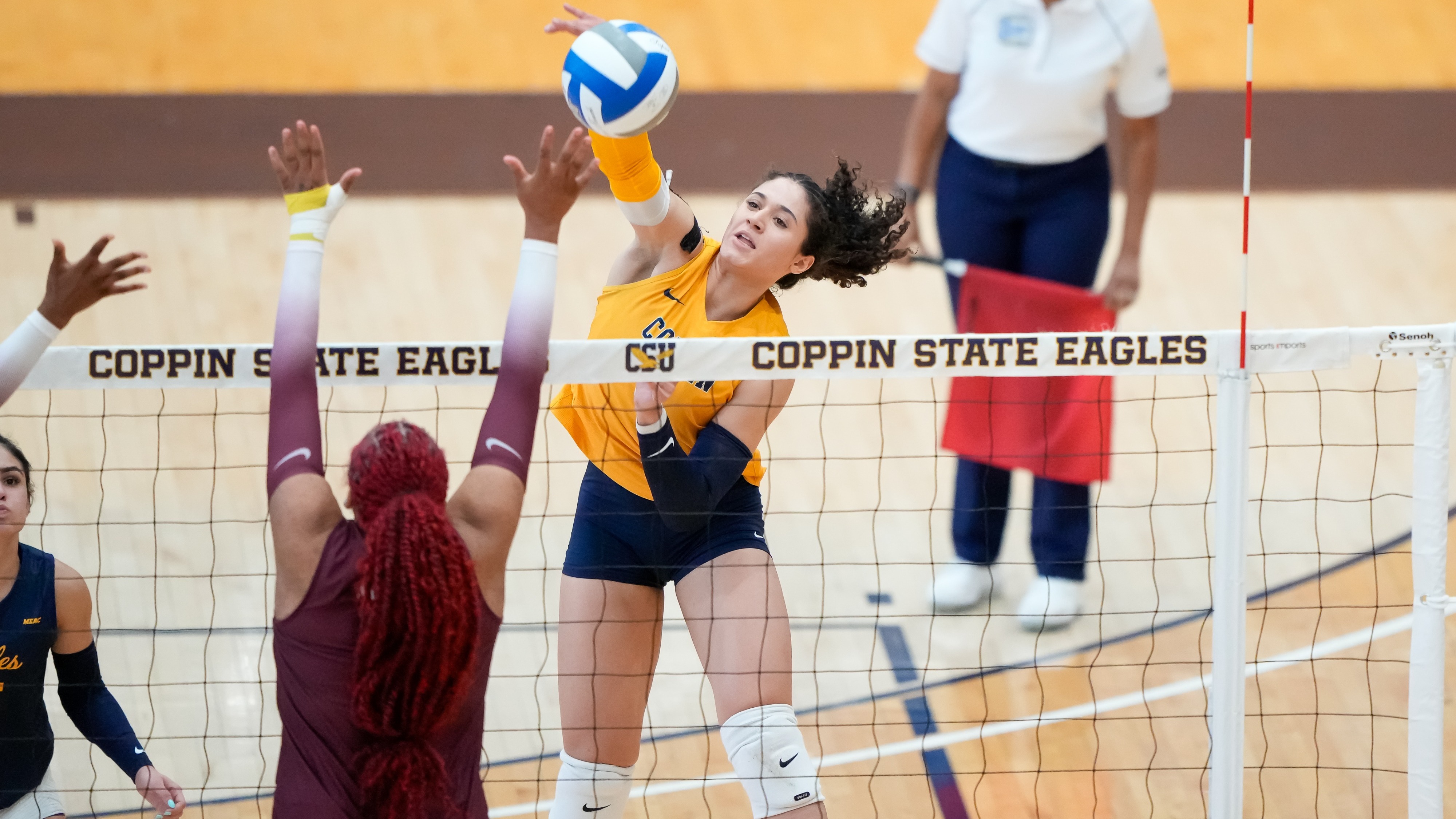 Caten Goes for Season-High as Volleyball Matches Record with Tenth ...
