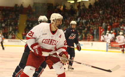 Tyler Mugford - 2008-09 - Men's Ice Hockey - Cornell University Athletics