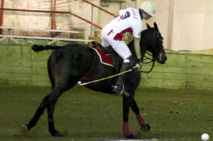 Justin Schick - 2012-13 - Men's Polo - Cornell University Athletics