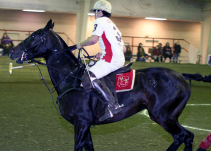 Justin Schick - 2012-13 - Men's Polo - Cornell University Athletics