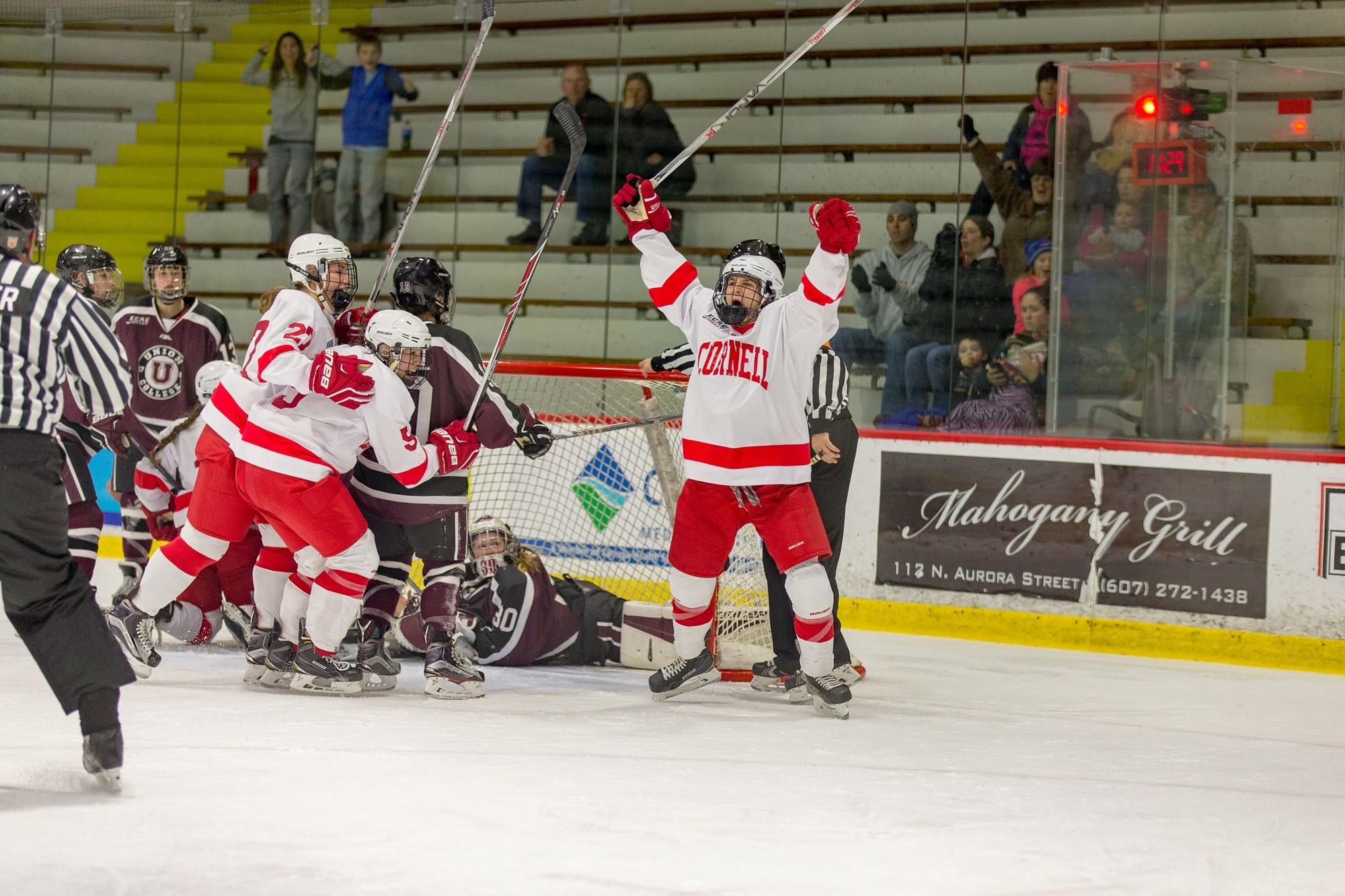 Lenka Serdar - 2018-19 - Women's Ice Hockey - Cornell University Athletics