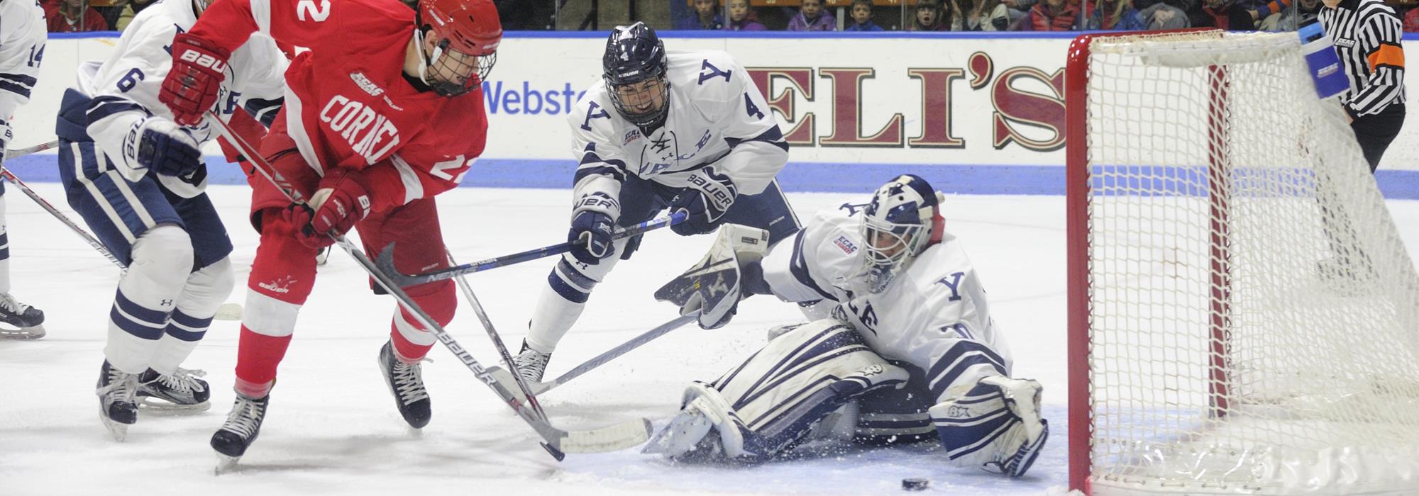 Freshman Friday: Jeff Malott - Cornell University Athletics