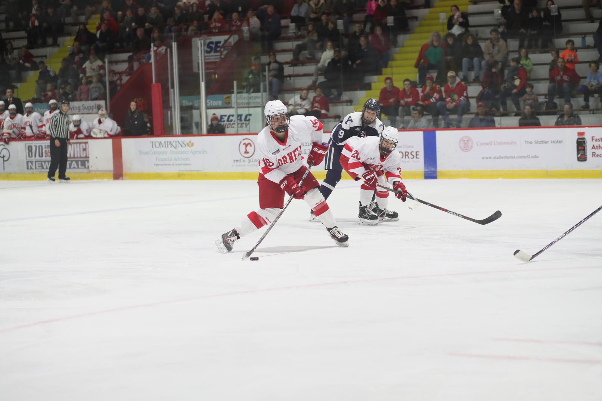 Pippy Gerace - 2018-19 - Women's Ice Hockey - Cornell University Athletics