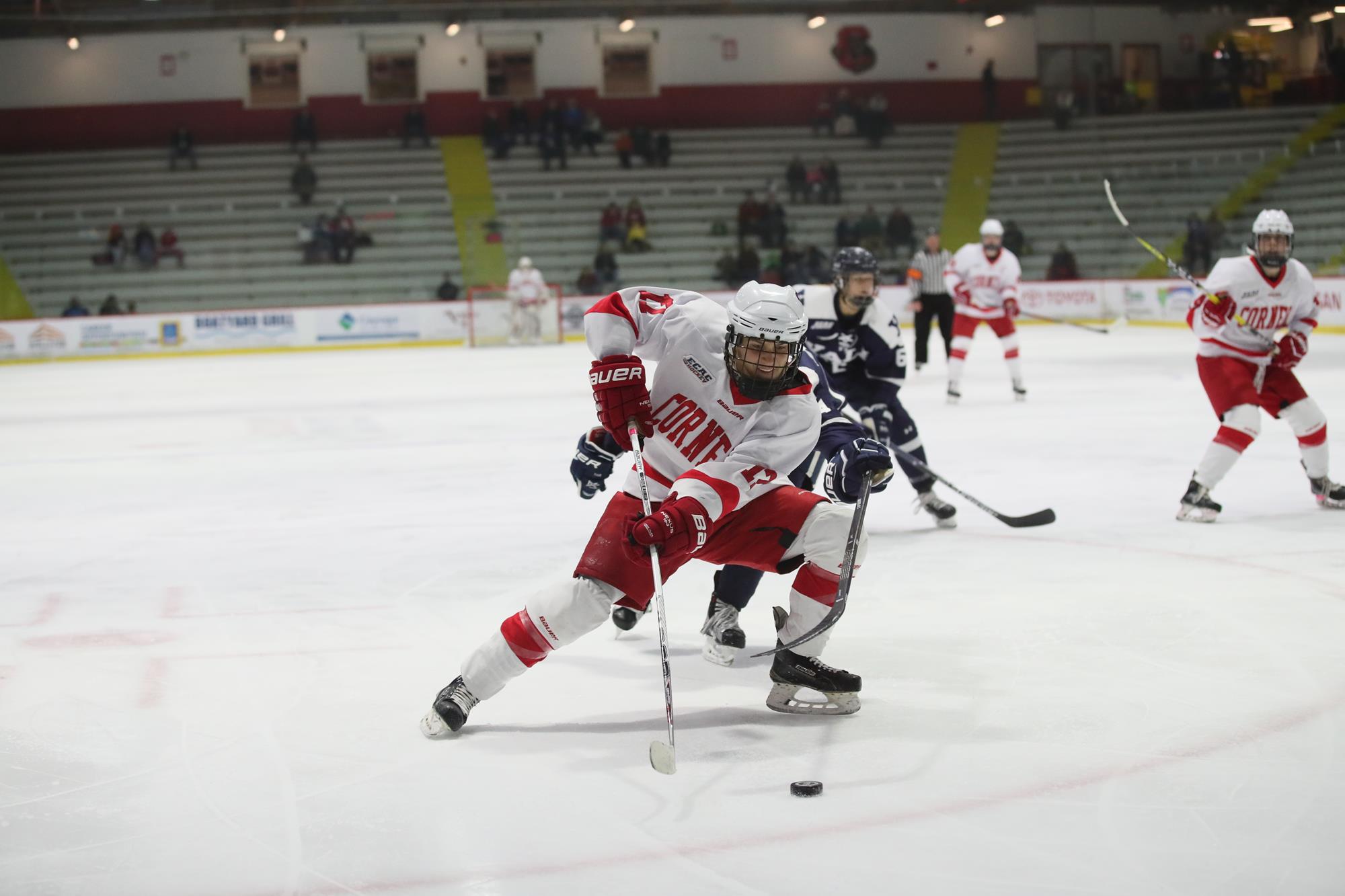 Lenka Serdar - 2018-19 - Women's Ice Hockey - Cornell University Athletics