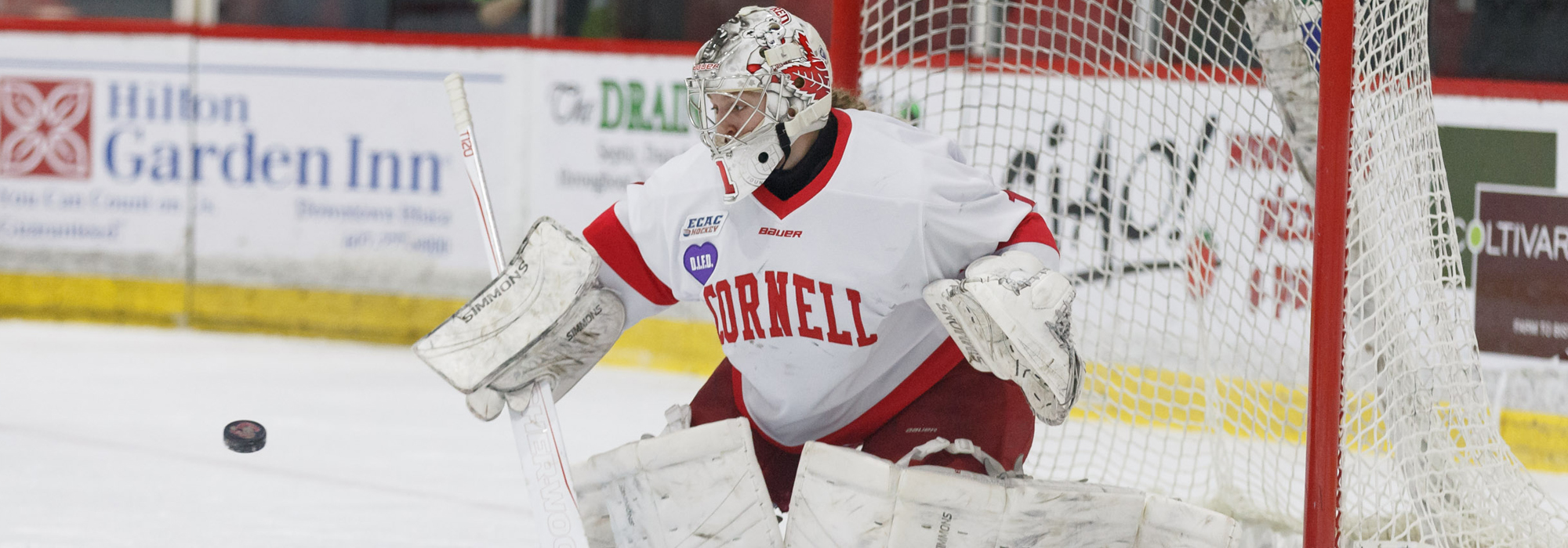 Marlène Boissonnault - 2018-19 - Women's Ice Hockey - Cornell ...