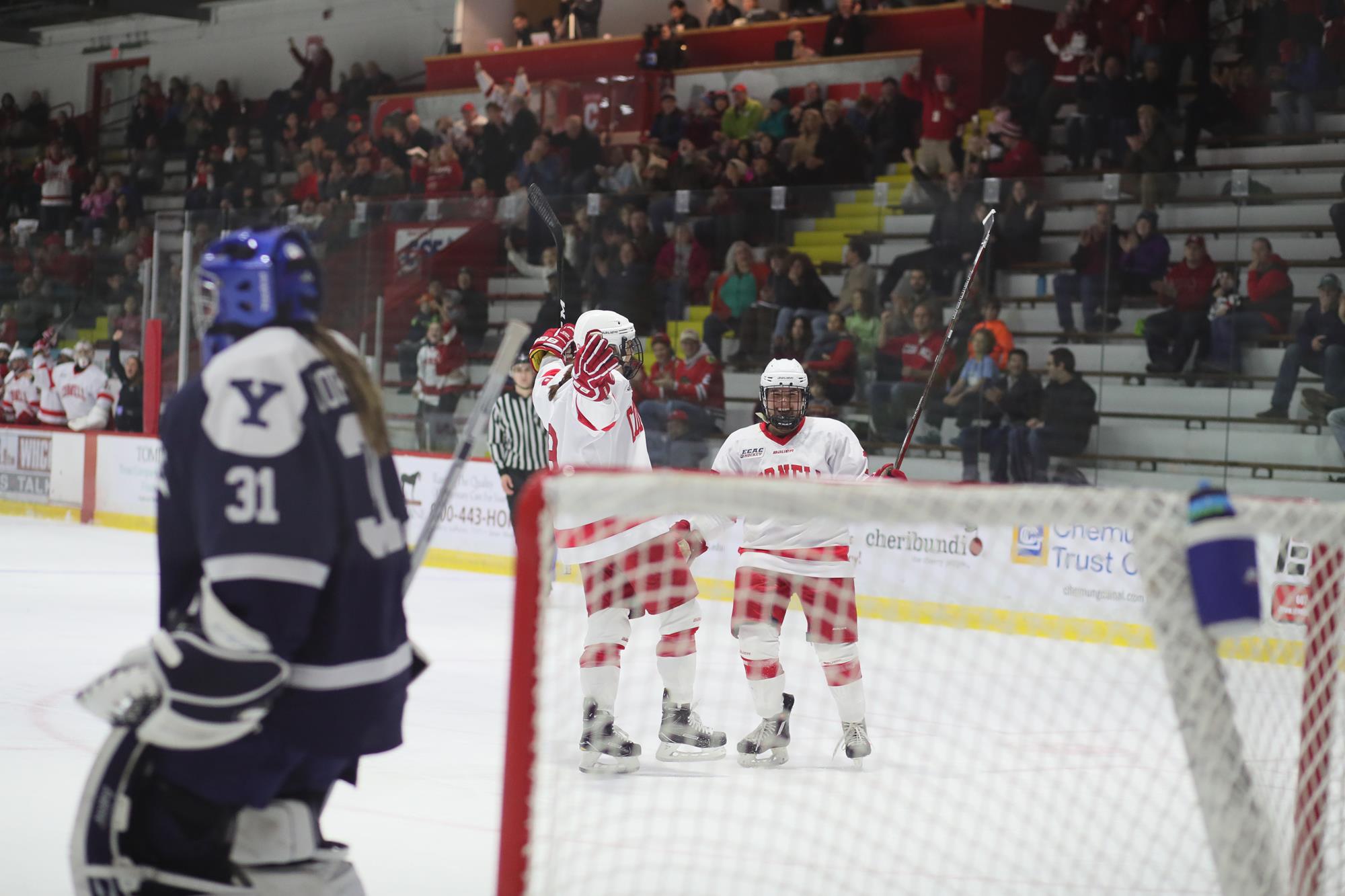 Pippy Gerace - 2018-19 - Women's Ice Hockey - Cornell University Athletics