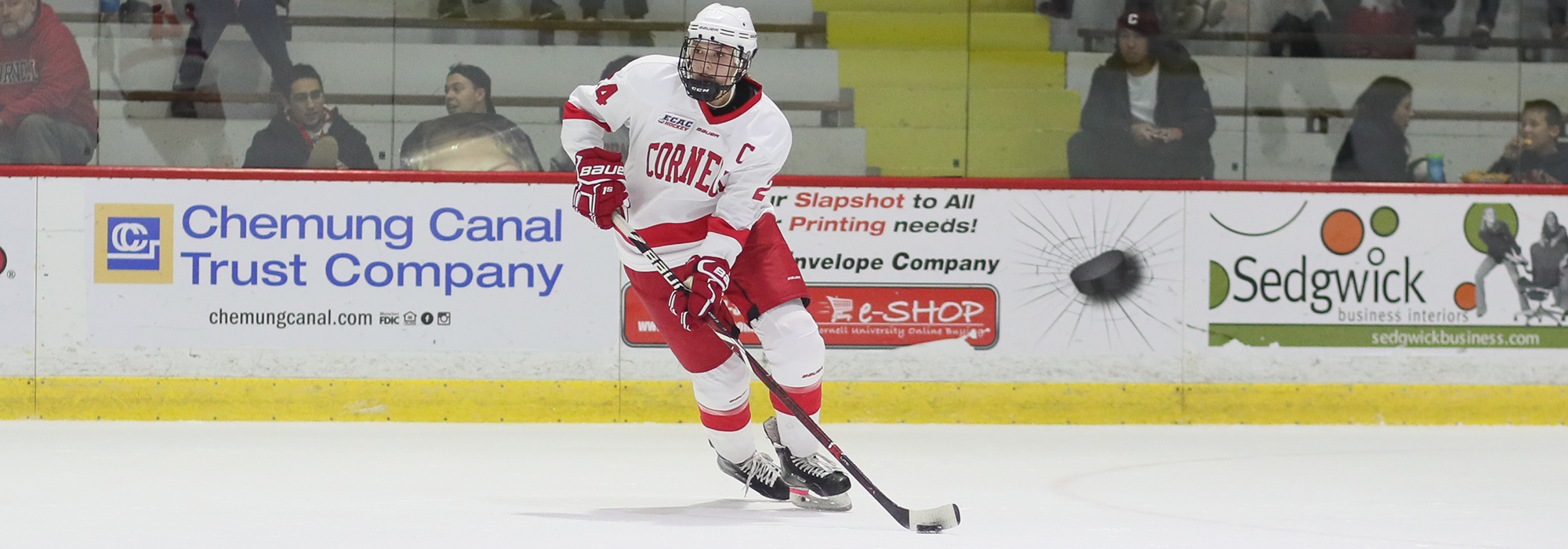 Sarah Knee - 2017-18 - Women's Ice Hockey - Cornell University Athletics