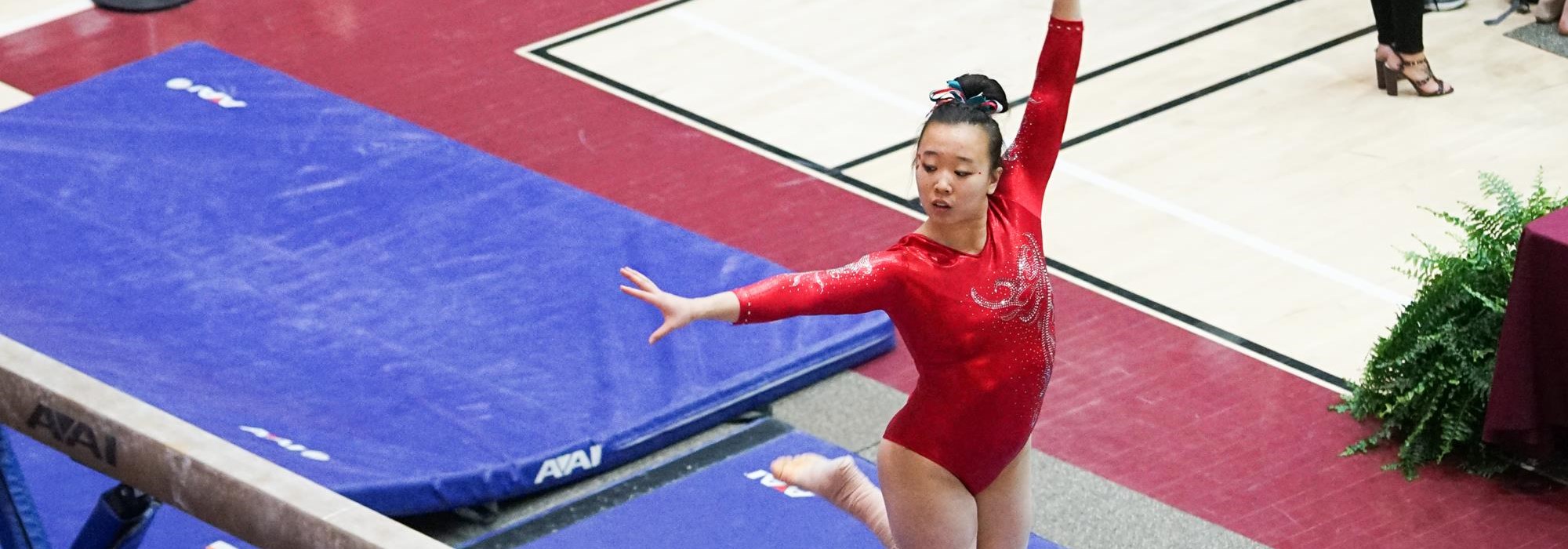 Gymnastics Heads South To Open 2019 Campaign - Cornell University Athletics