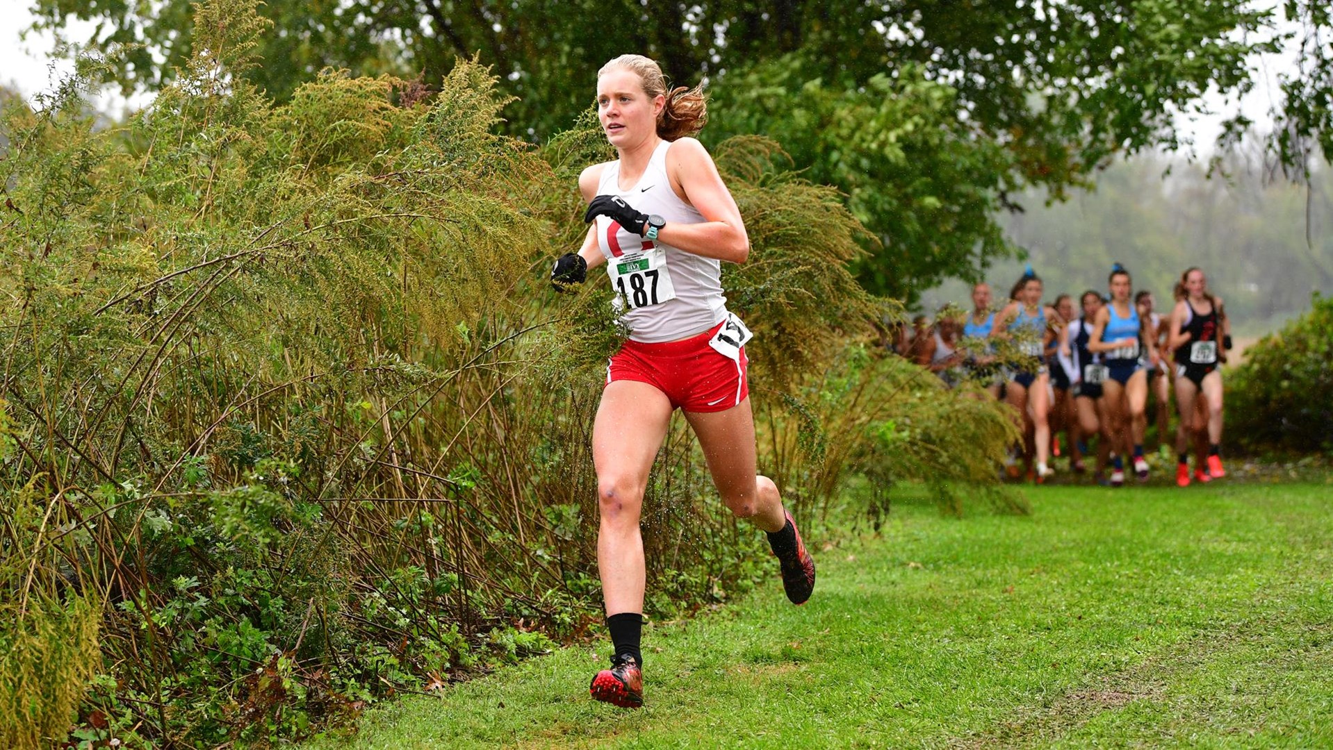 Knibb Named Elite 90 Award Winner - Cornell University Athletics