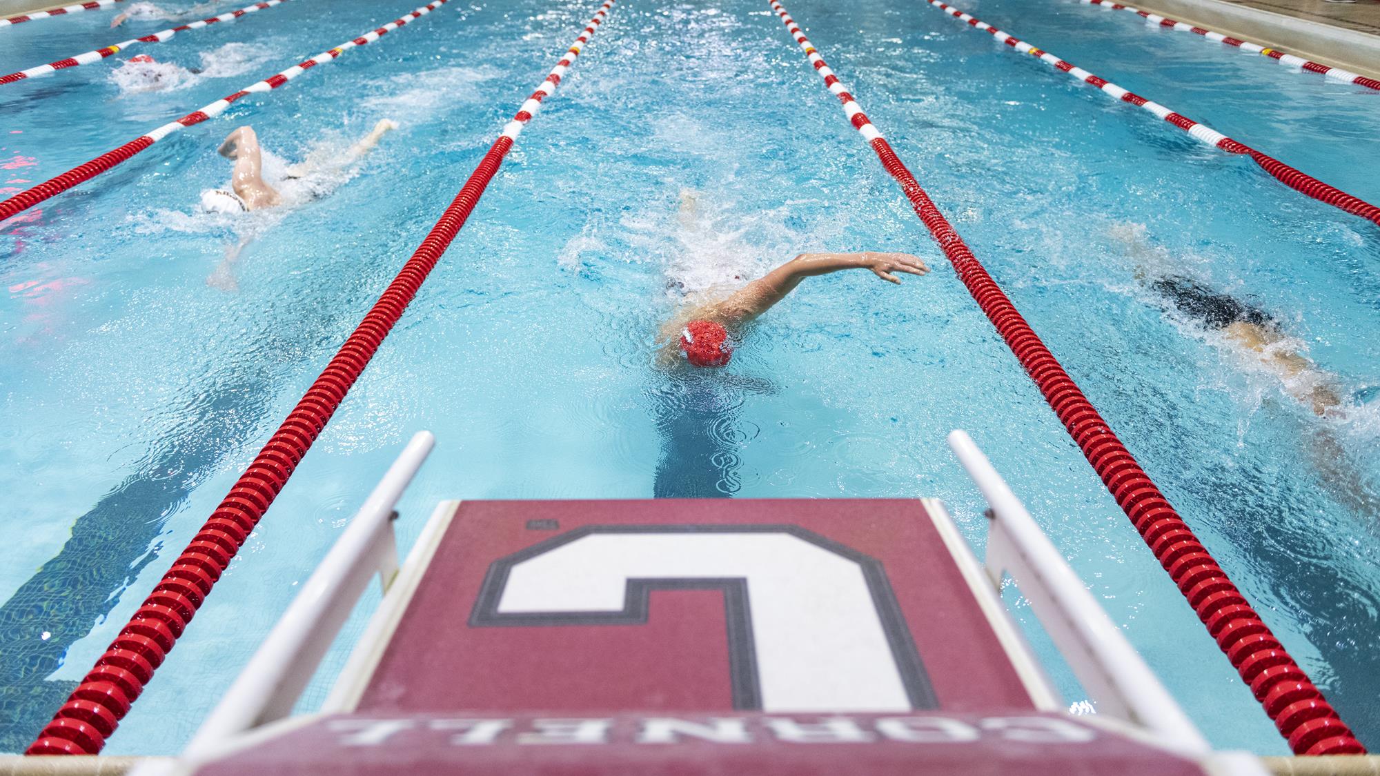 Logan Holt - 2023-24 - Men's Swimming & Diving - Cornell University ...