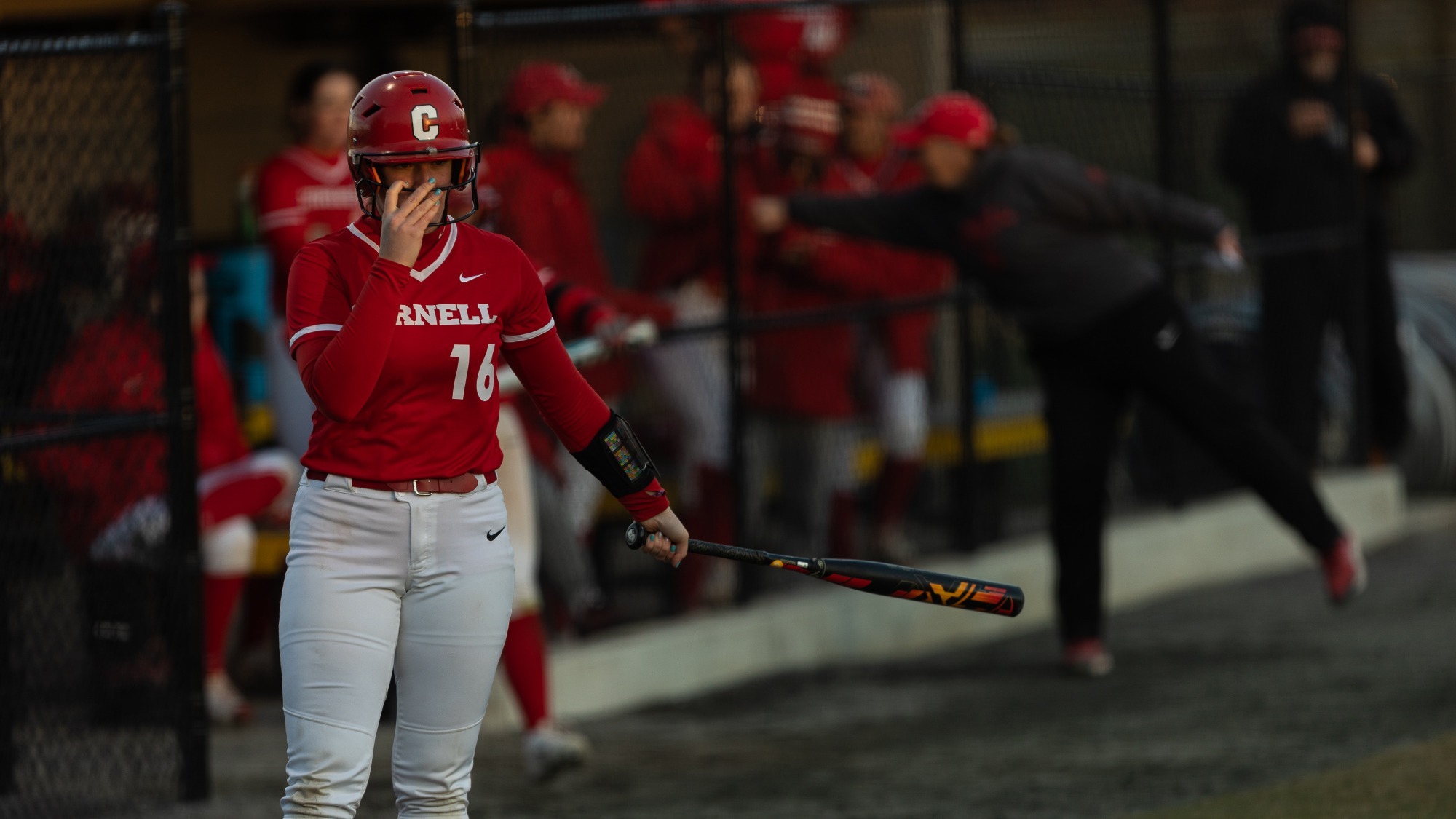 Celia Macari - 2023 - Softball - Cornell University Athletics