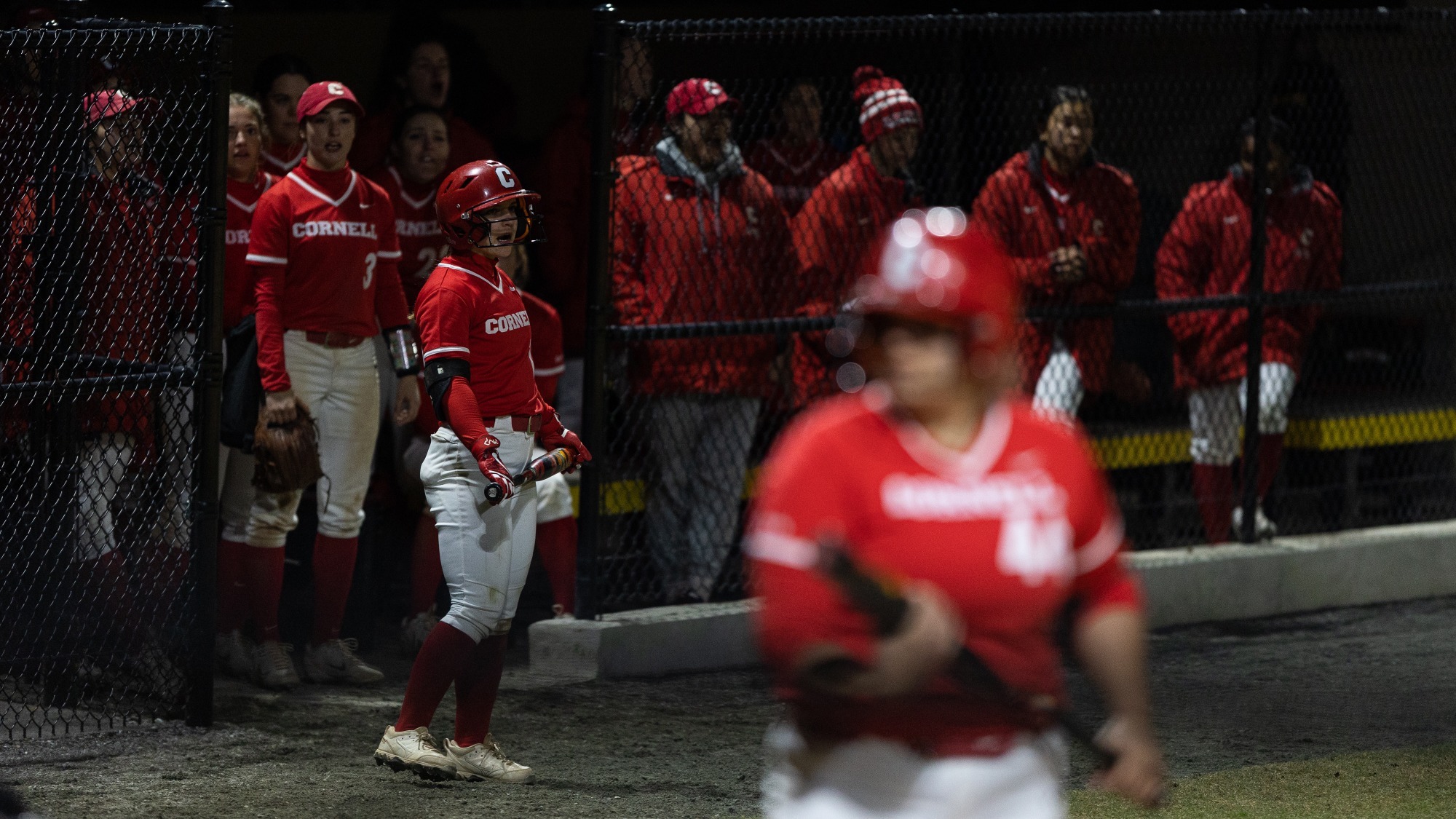 Brown Tops Big Red 4-2 in Series Opener - Cornell University Athletics