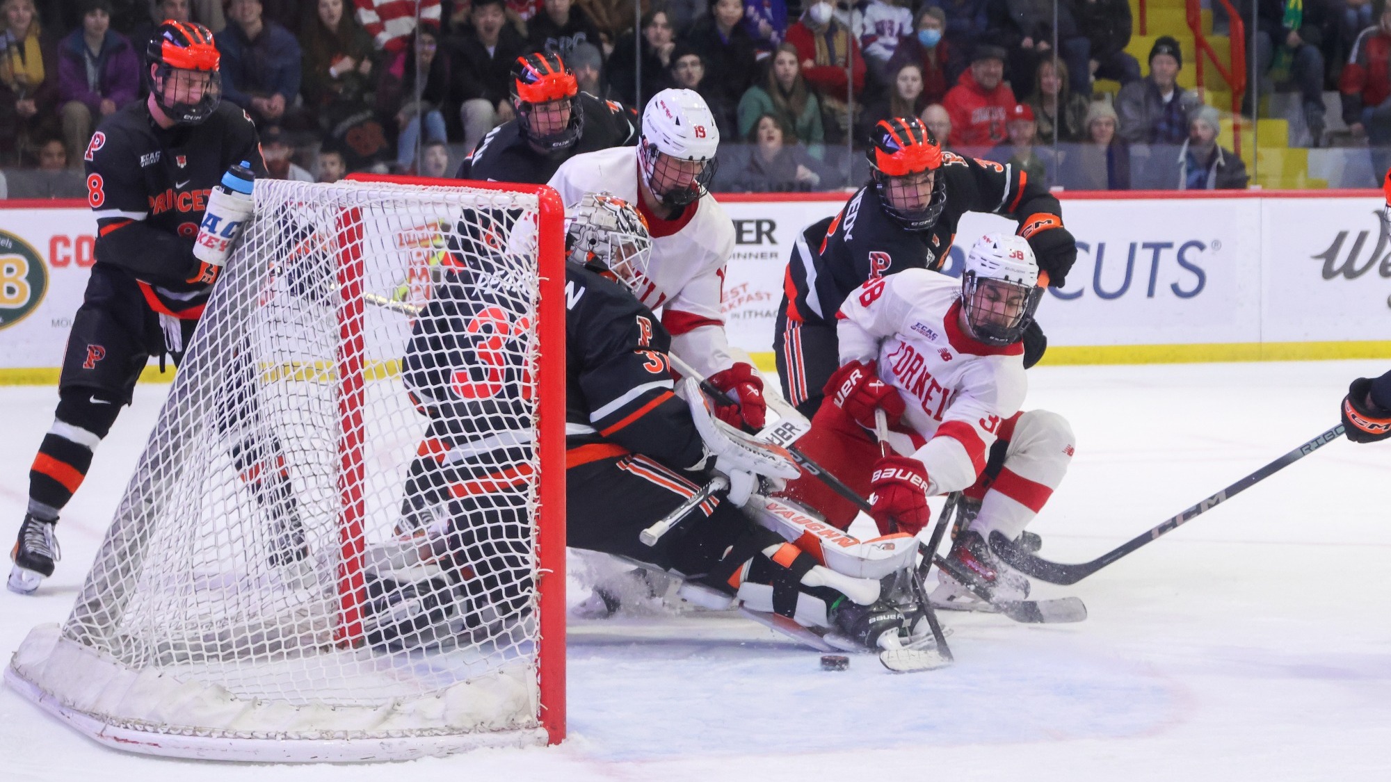 Castagna Propels #14 Men's Hockey To Win Over Princeton - Cornell ...