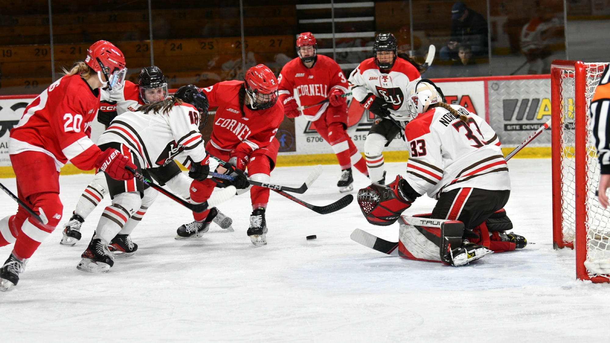 #8 St. Lawrence Downs #6 Big Red, 2-1 - Cornell University Athletics