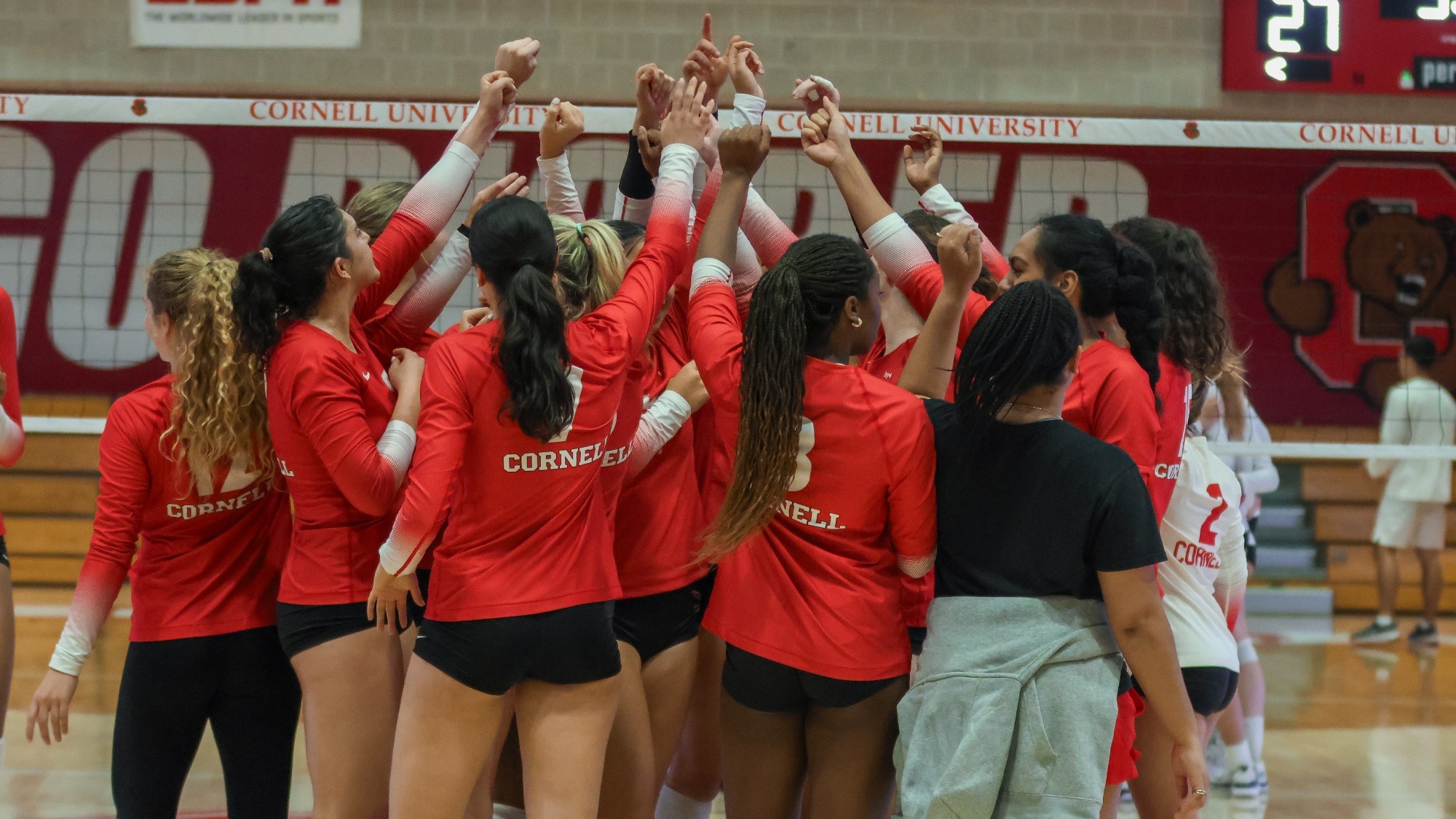 Volleyball Adds Dockery as Assistant Coach - Cornell University Athletics