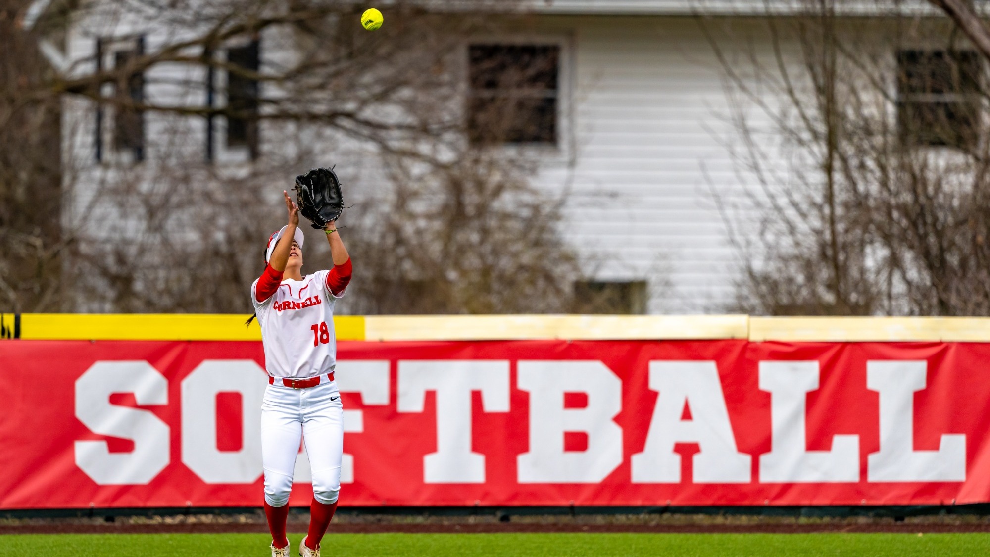 Brown Beats Softball 10-2 In Six Innings - Cornell University Athletics