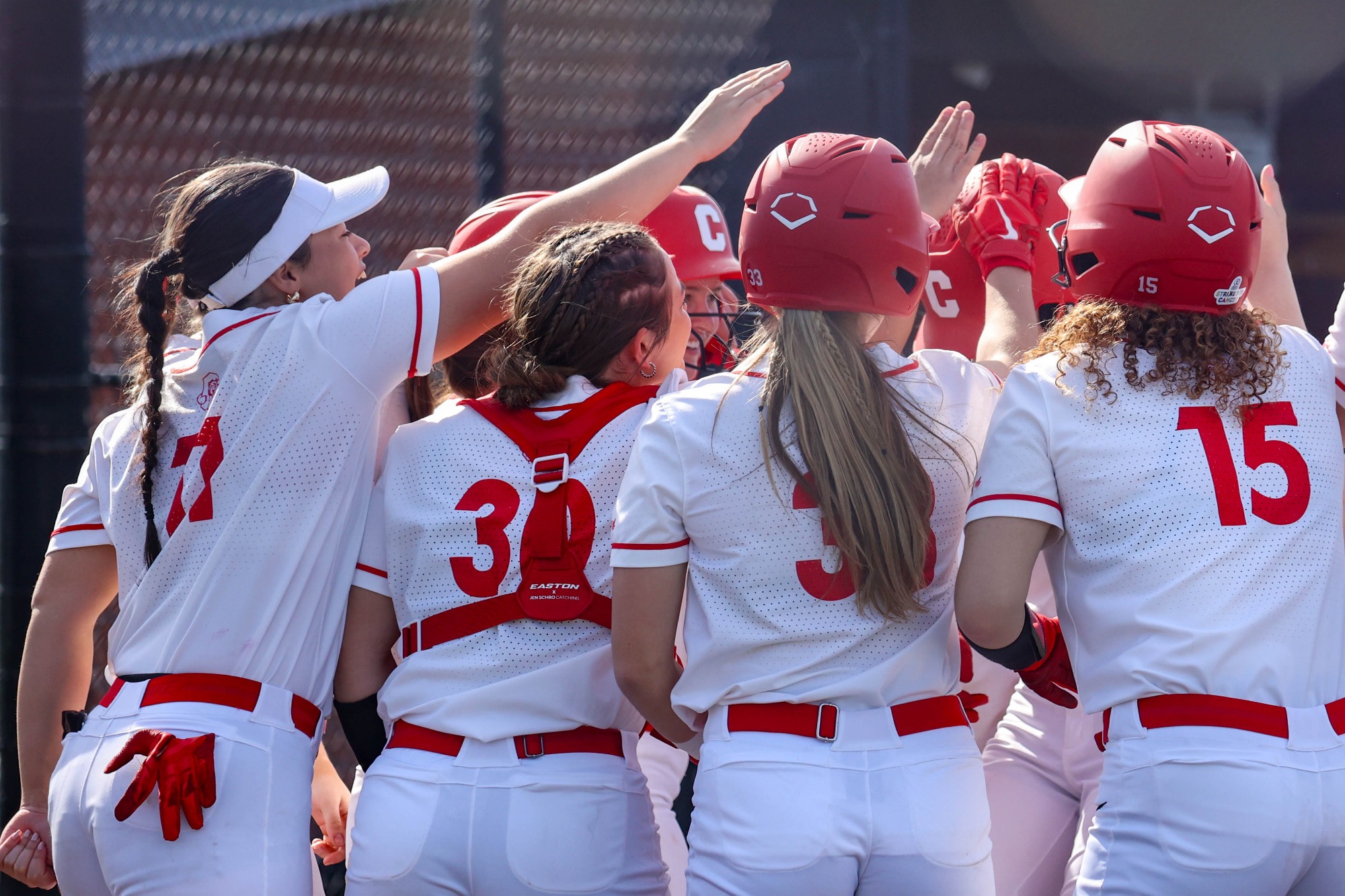 Harrod, Pirkey Drive In Two Runs Apiece In Softball's 6-4 Win Over Princeton - Cornell ...