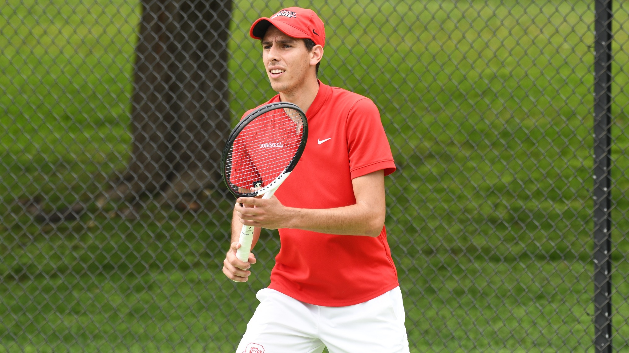 Radu Papoe - 2024-25 - Men's Tennis - Cornell University Athletics