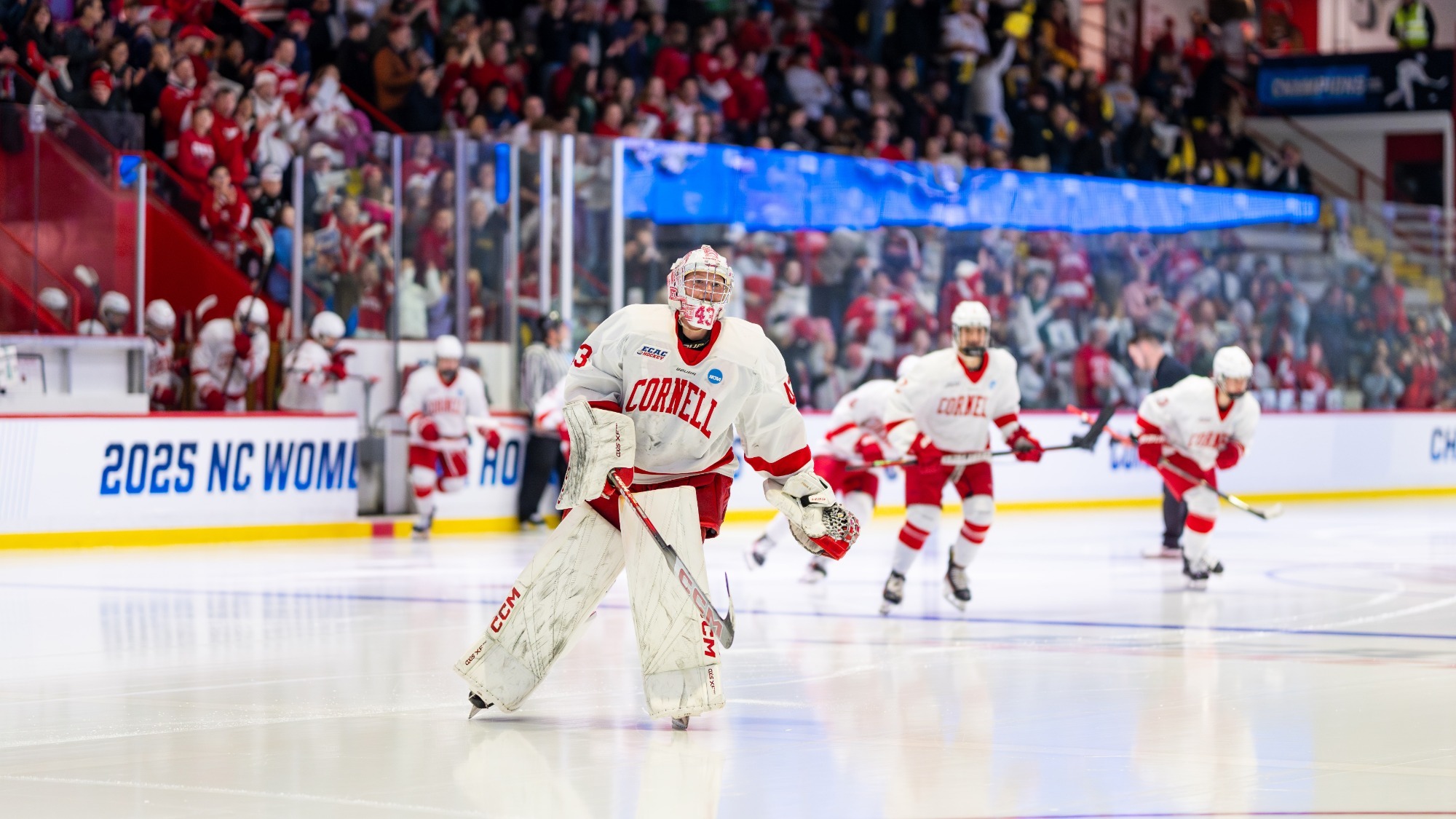 #3 Big Red Welcomes #6 Minnesota-Duluth To Lynah Rink For NCAA Regional ...