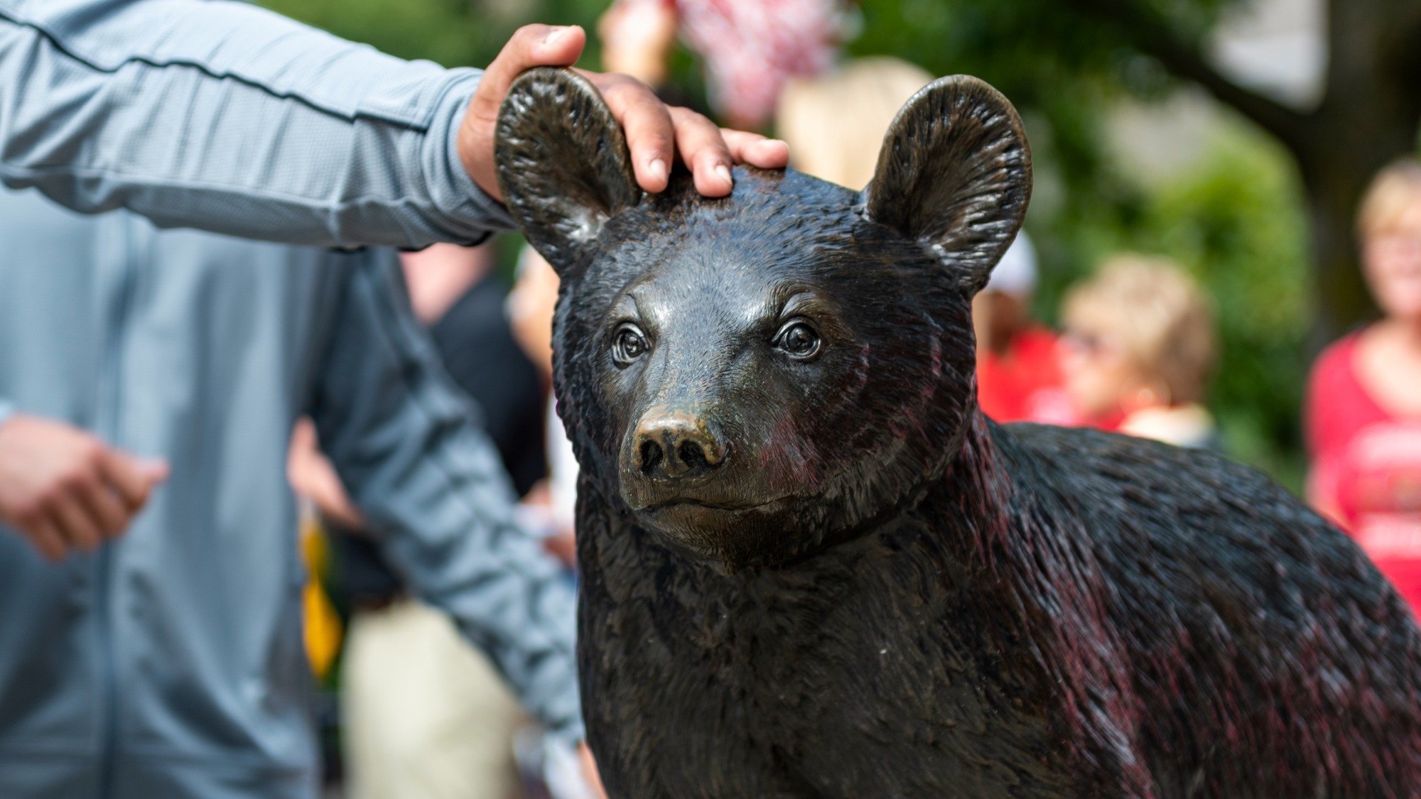 Cornell Athletics Elects 10 Into Hall of Fame as Class of 2025 ...