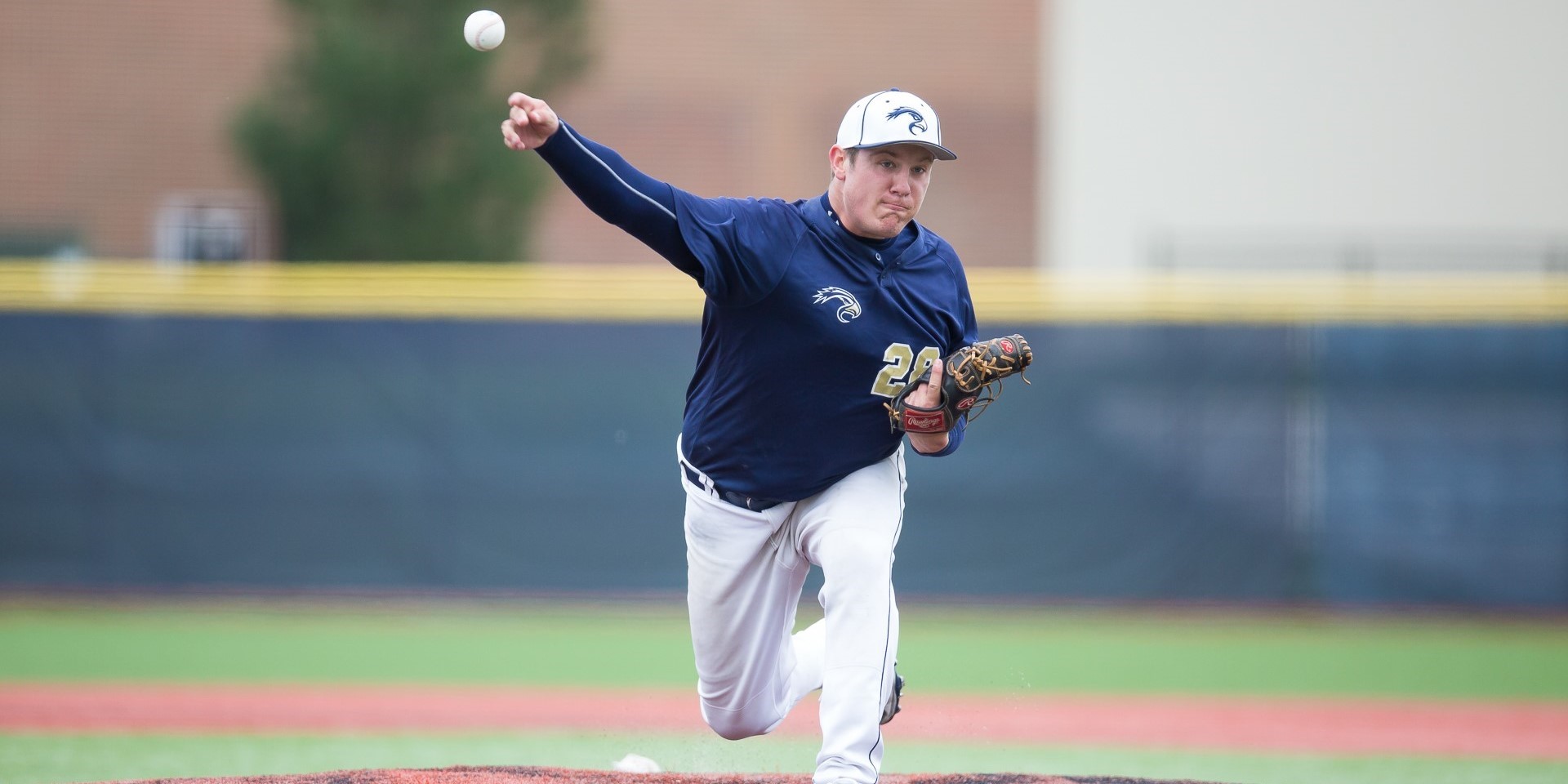 Collin Young - 2019 - Baseball - Cornerstone University Athletics