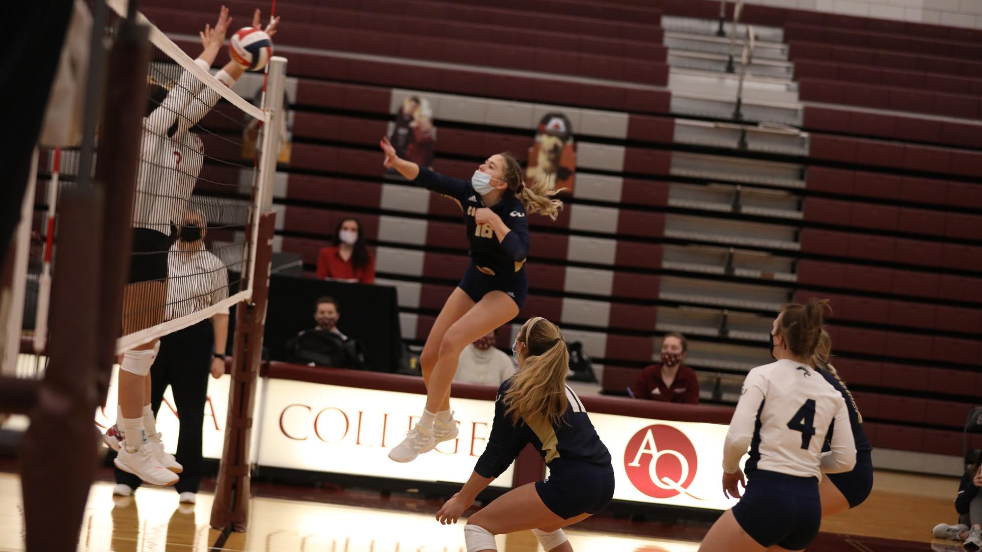 Alexis Angus - 2020 - Women's Volleyball - Cornerstone University Athletics