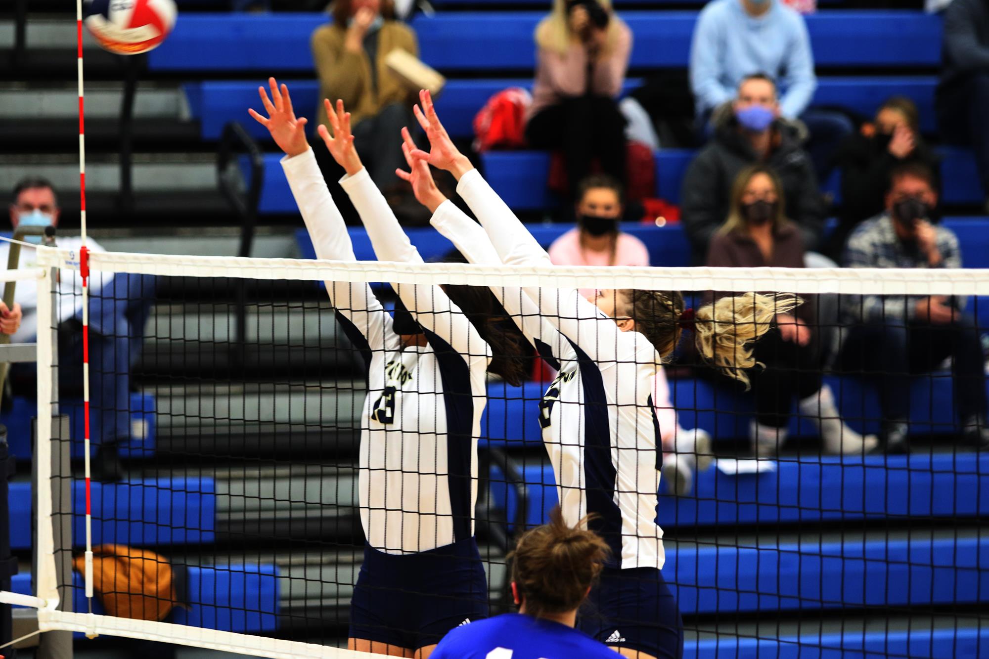 Alexis Angus - 2020 - Women's Volleyball - Cornerstone University Athletics