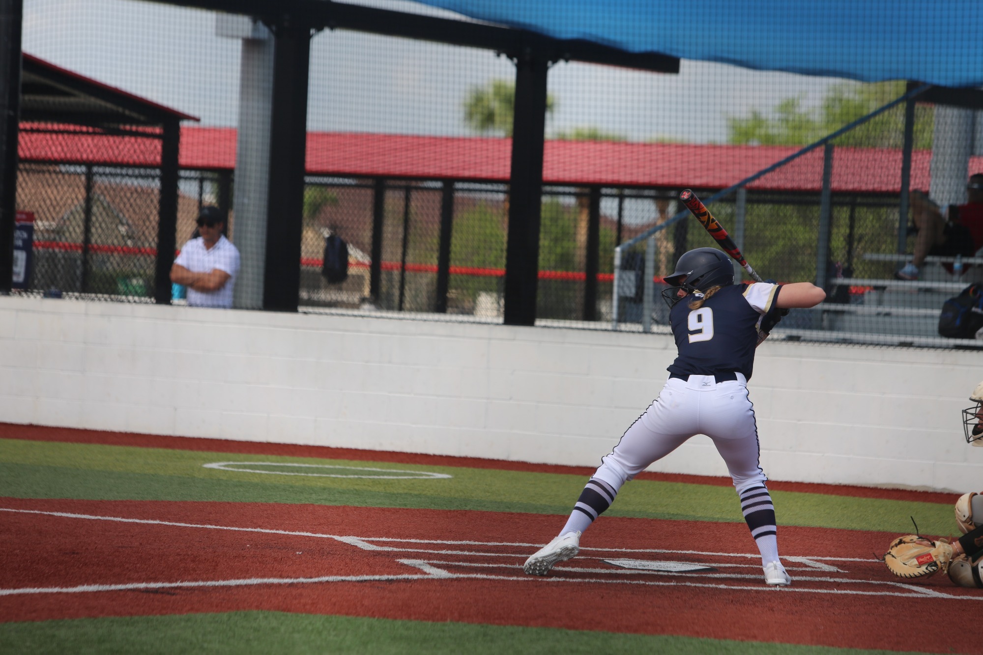 Softball clicks on all cylinders with a sweep of Calumet St. Joseph and ...
