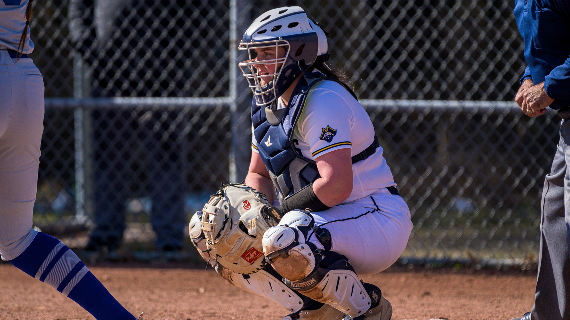 Bats Kept Quiet at Babson - UMass Dartmouth