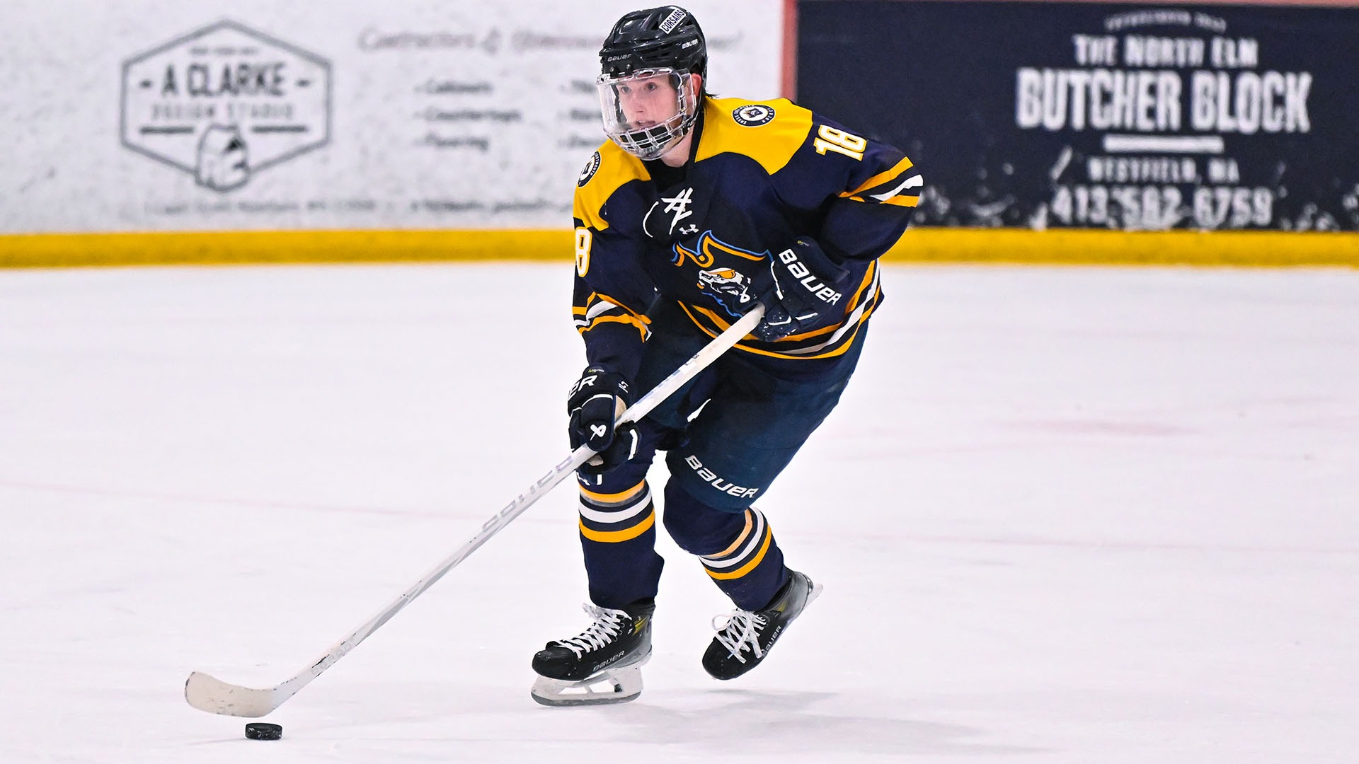 Collin Patterson - 2023-24 - Men's Ice Hockey - UMass Dartmouth